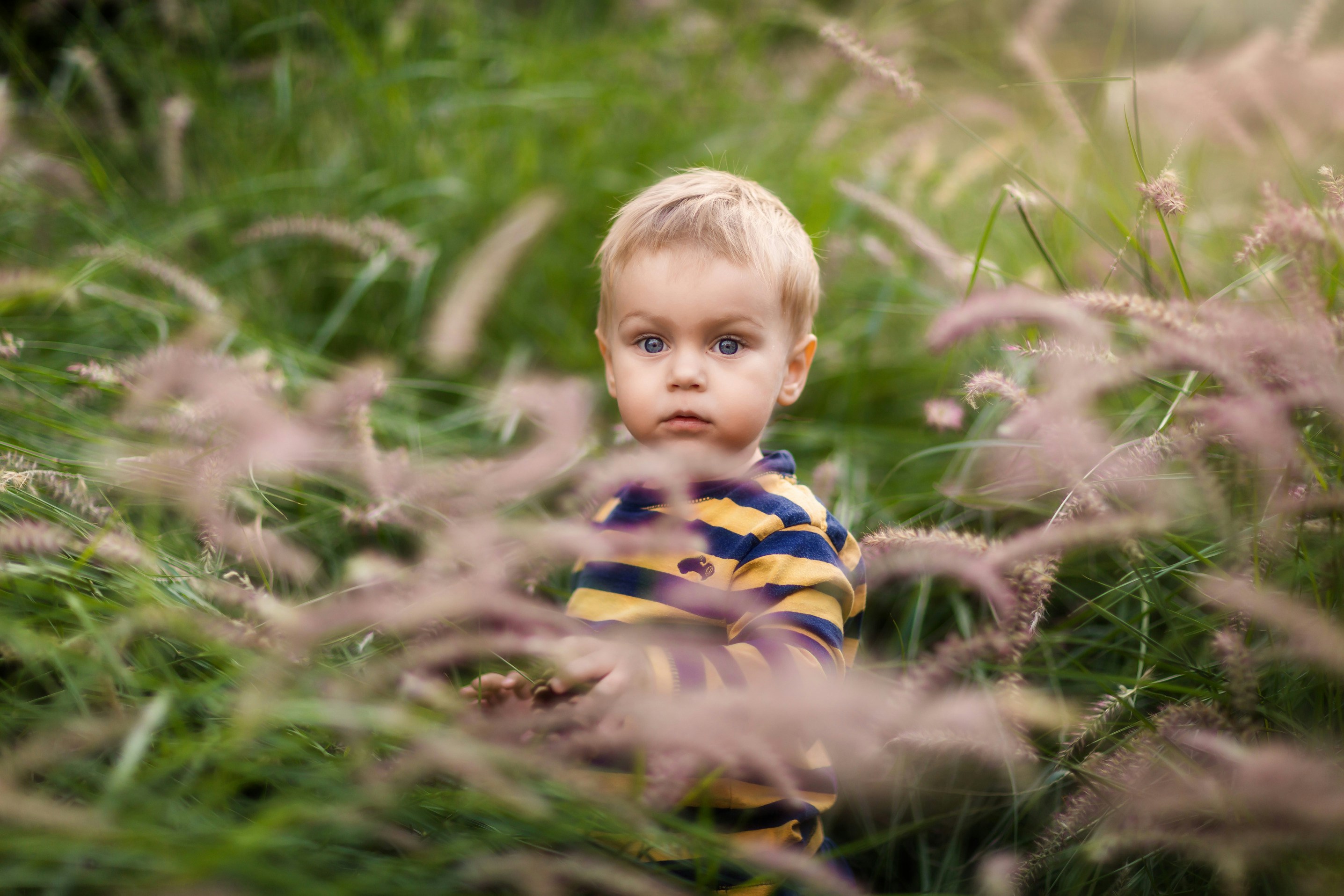 A Curious Moment: Child Emerges Through Wandering Grasses