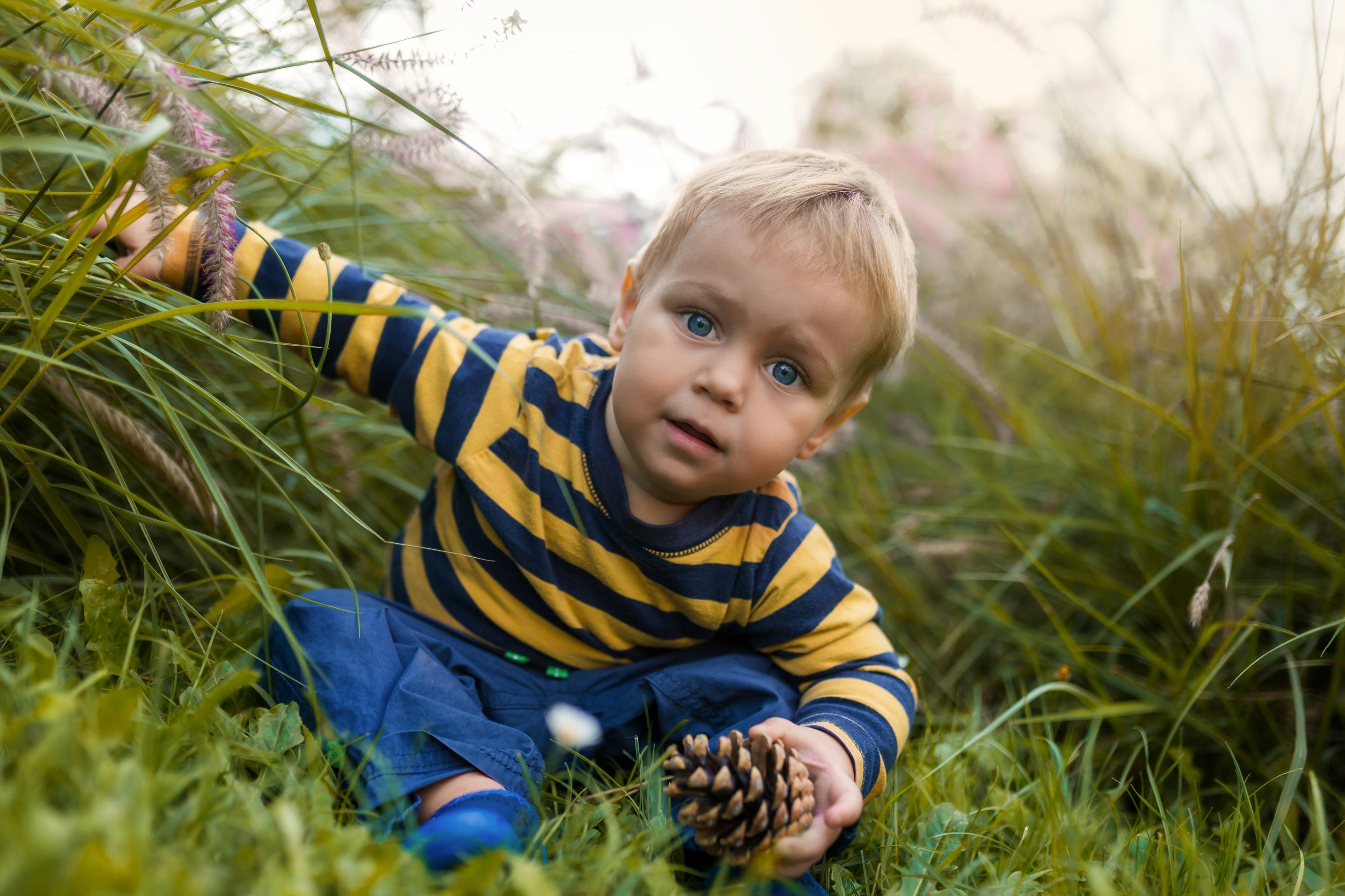 Curious Explorer in Sunlit Field