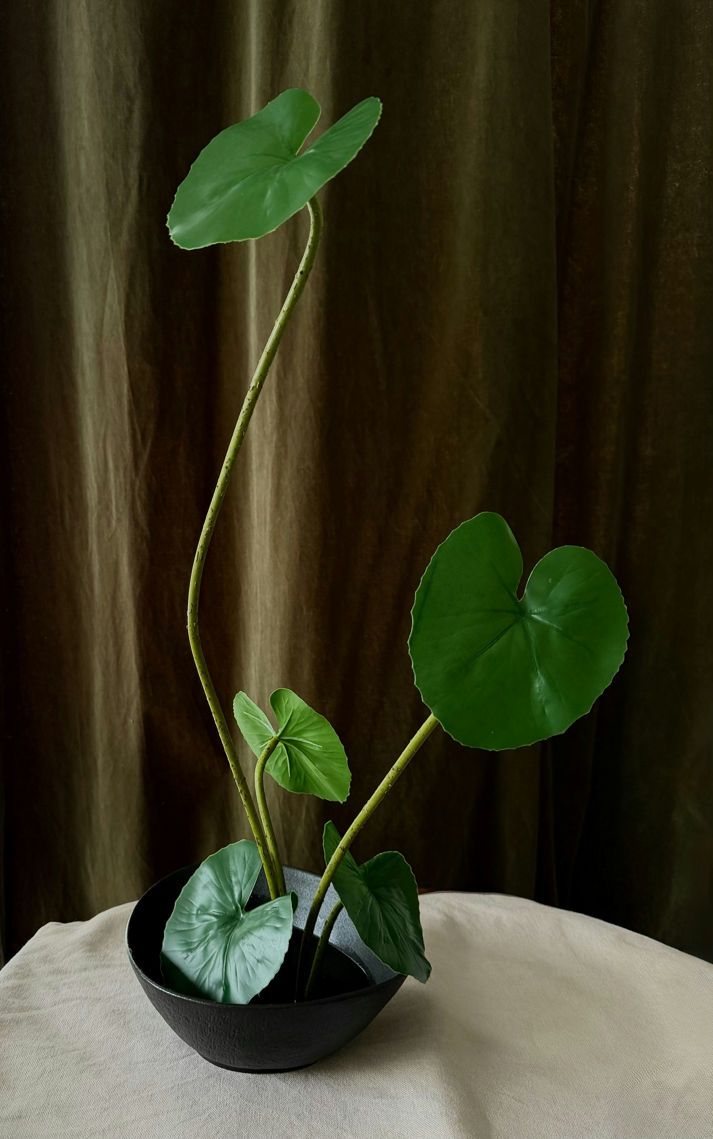Green Heart: A Lyrical Pot of Twin-Stemmed Leaves