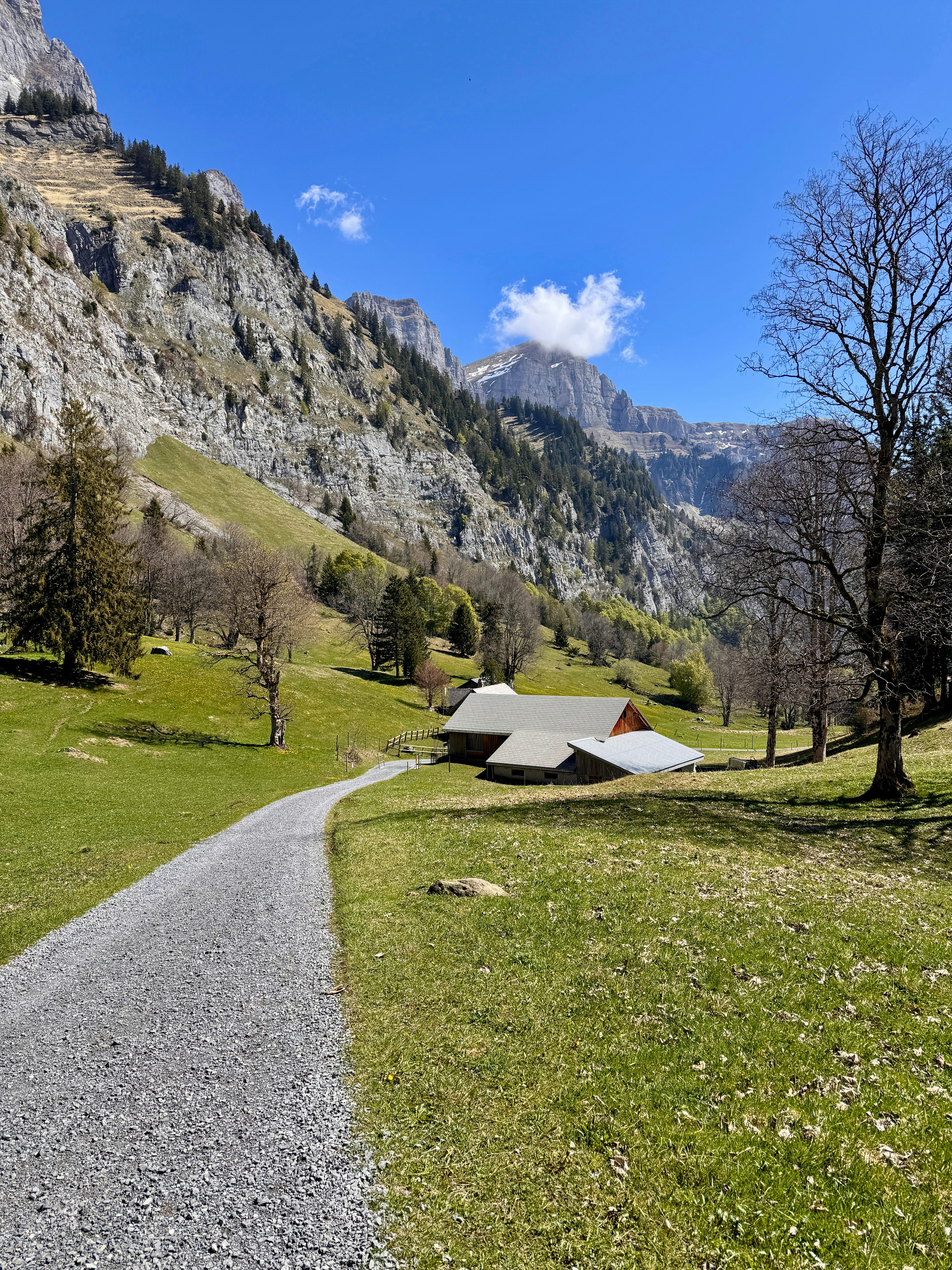 Alpine Meadow Path to the Theaters of Stone
