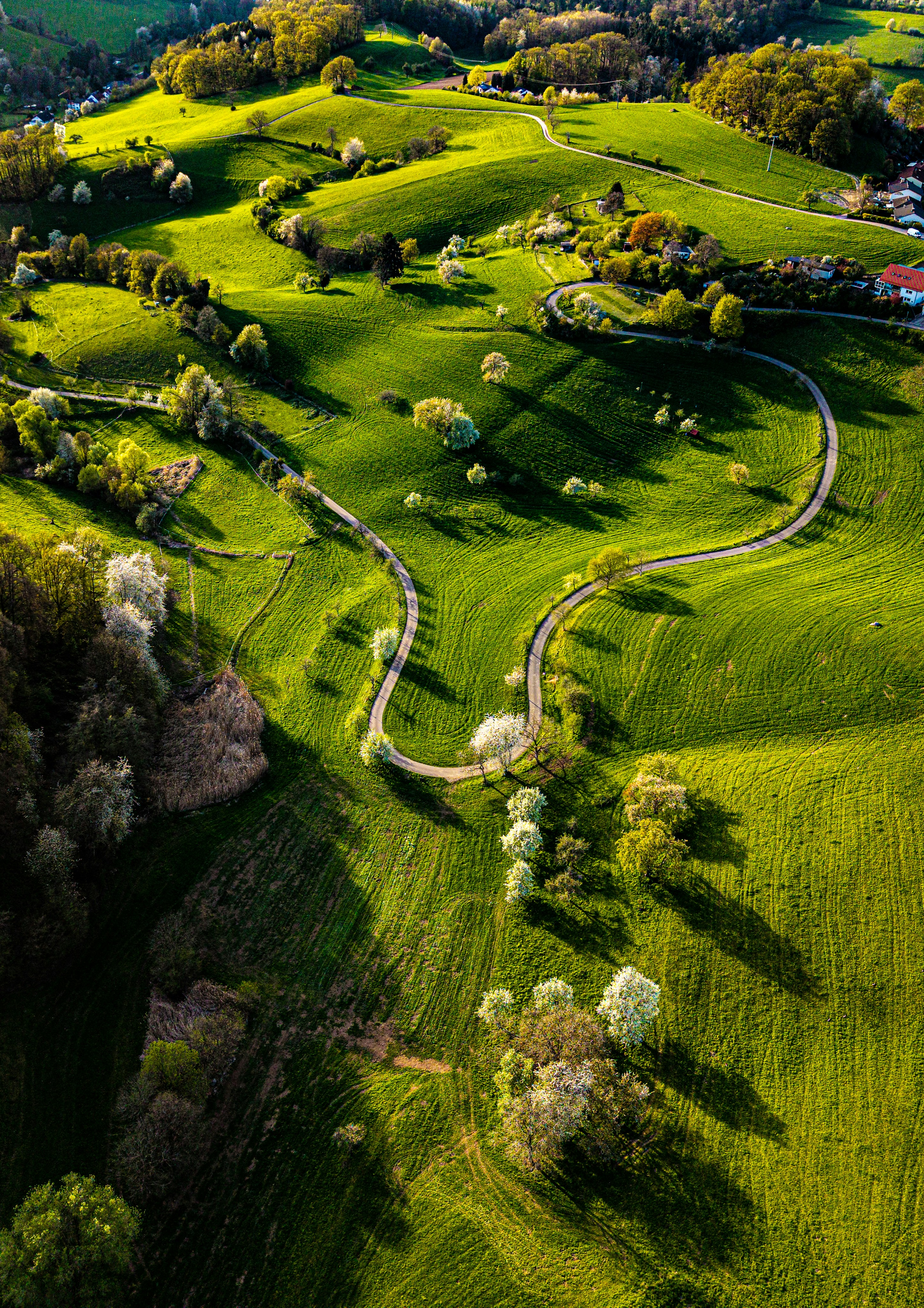 Curving Green: Aerial Ribbon Through Rolling Fields