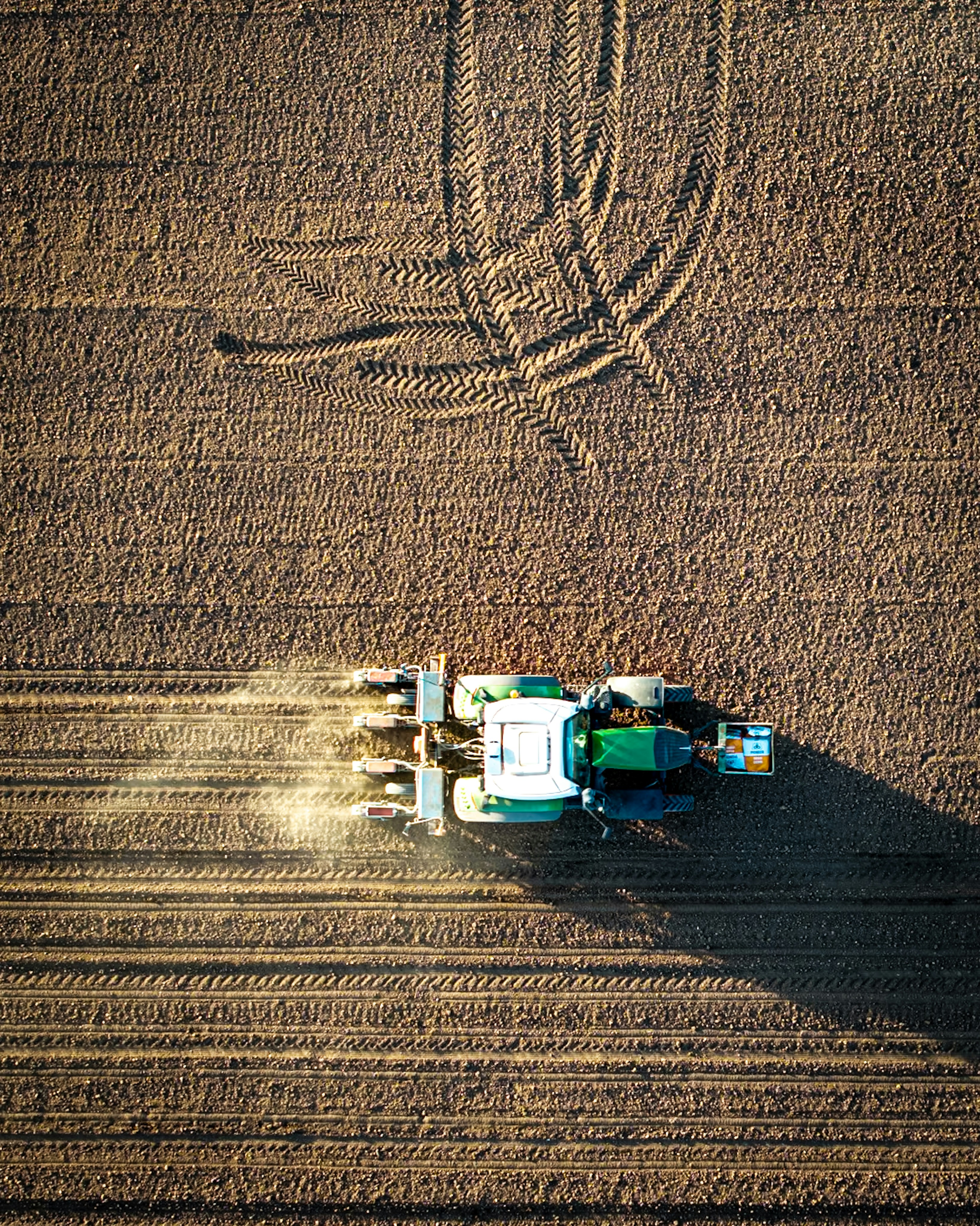 Harvest on the Horizon: A Tractor Tracing Long Rows