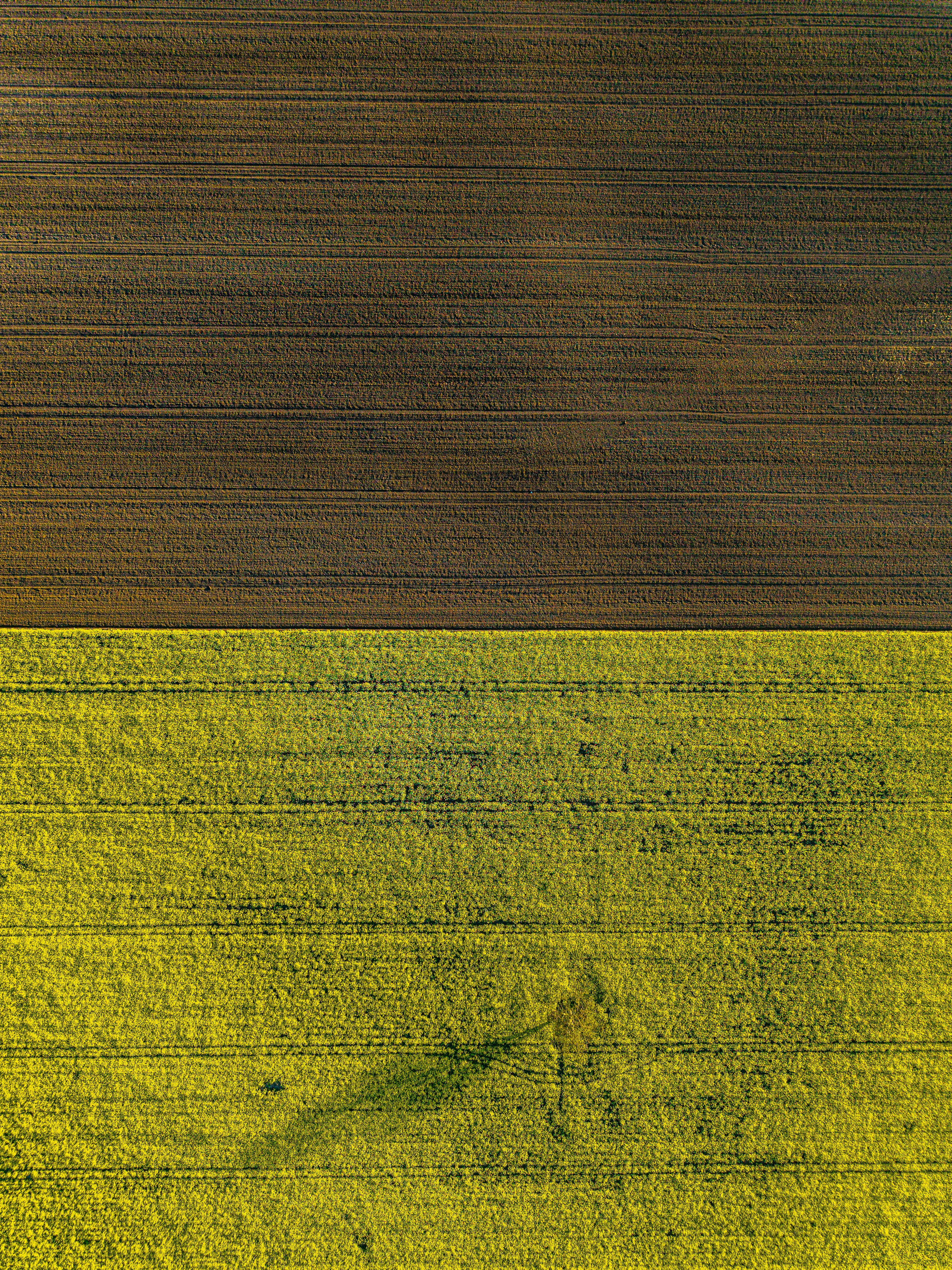 Striated Harvest: Aerial Layers of Field and Soil