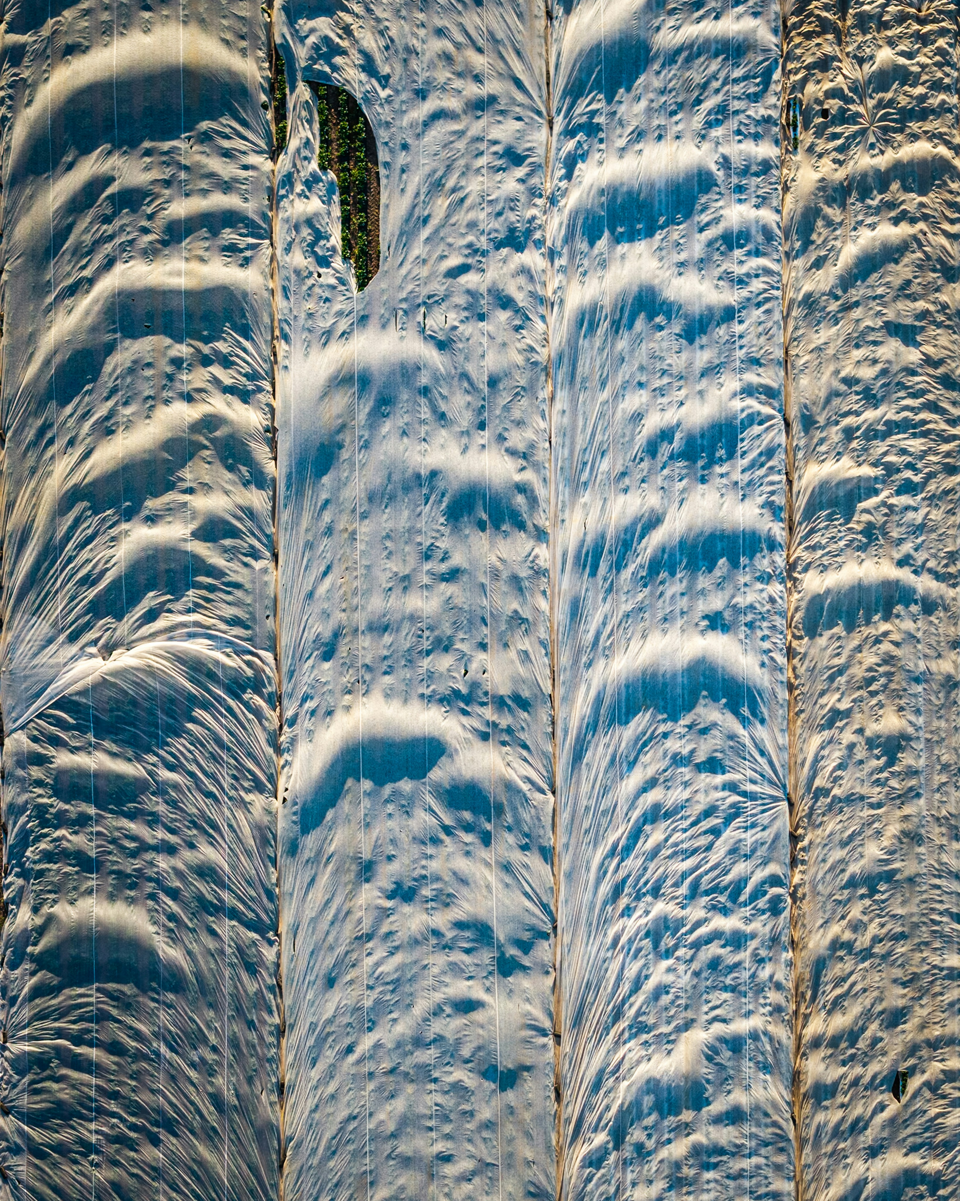 Chiseled Ice Ribbons: Vertical Fjord of Blue and White
