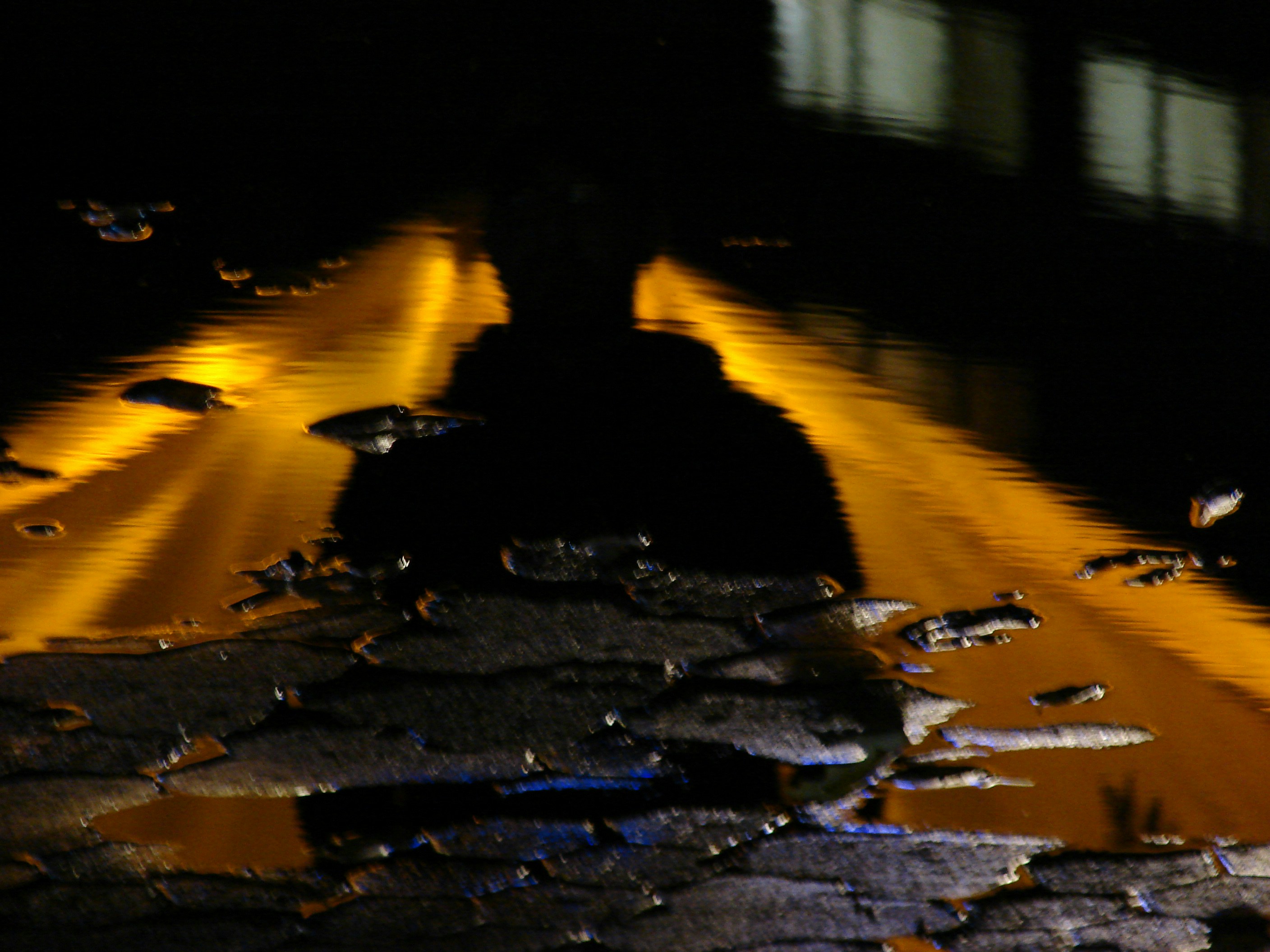 Dark, glossy street with scattered debris and golden reflections; a prominent silhouette of a person/figure near the center, and a blurred, shimmering water pattern across the surface.