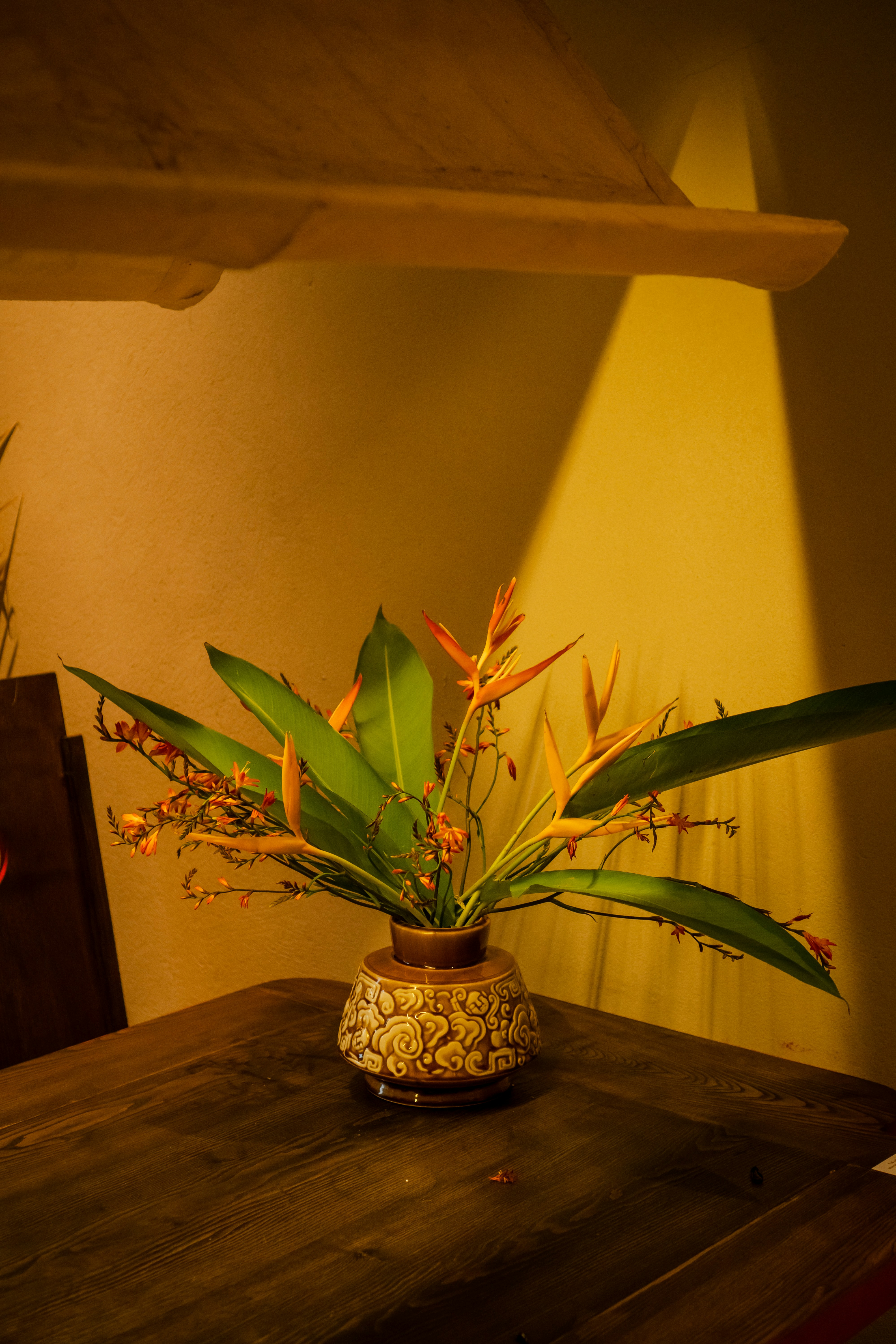 Sunlit Orchid Arrangement on a Rustic Table