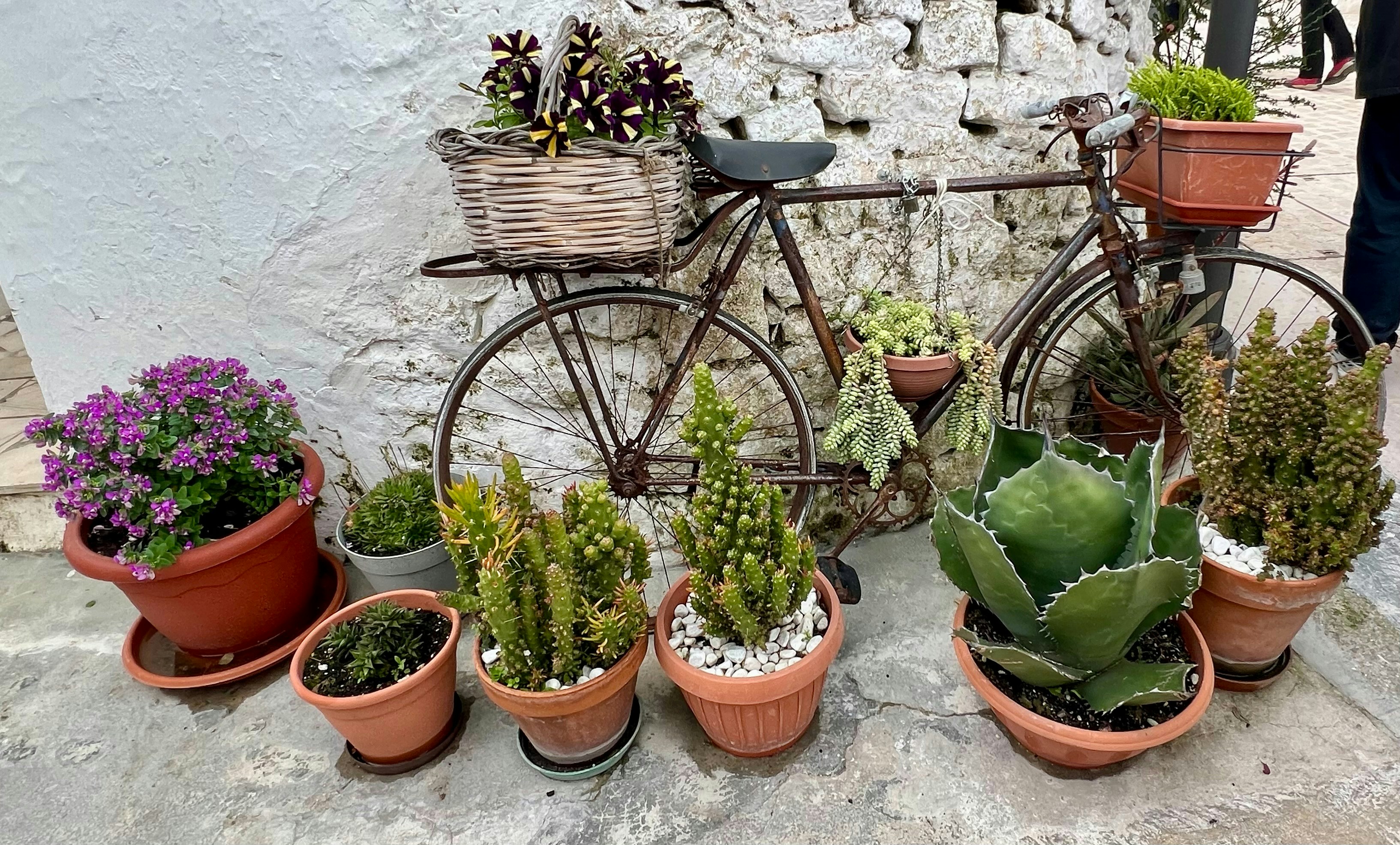 A Quiet Bicycle Garden: Pots Bedeck the Steps