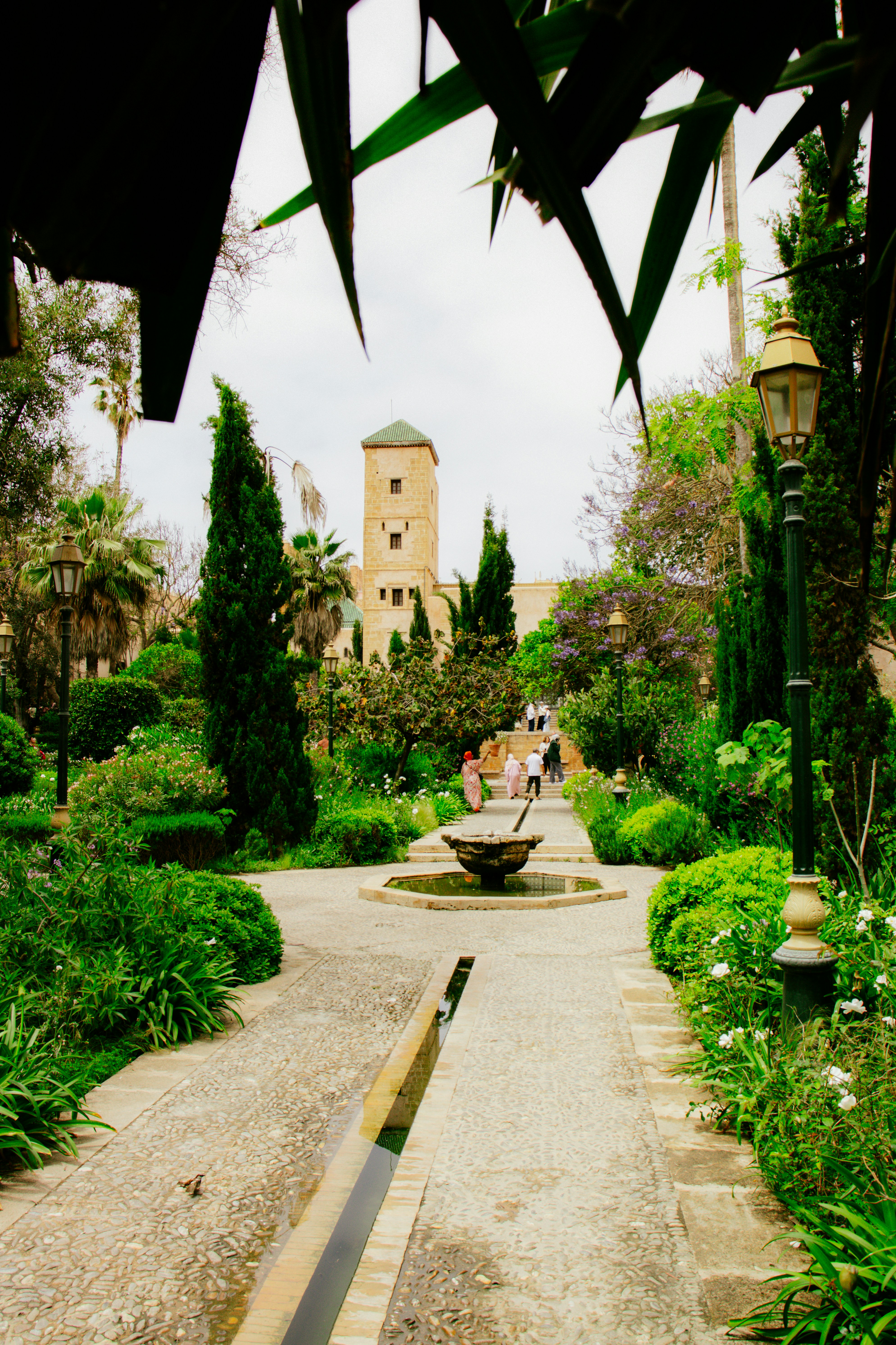 Garden Path Toward the Timeless Tower