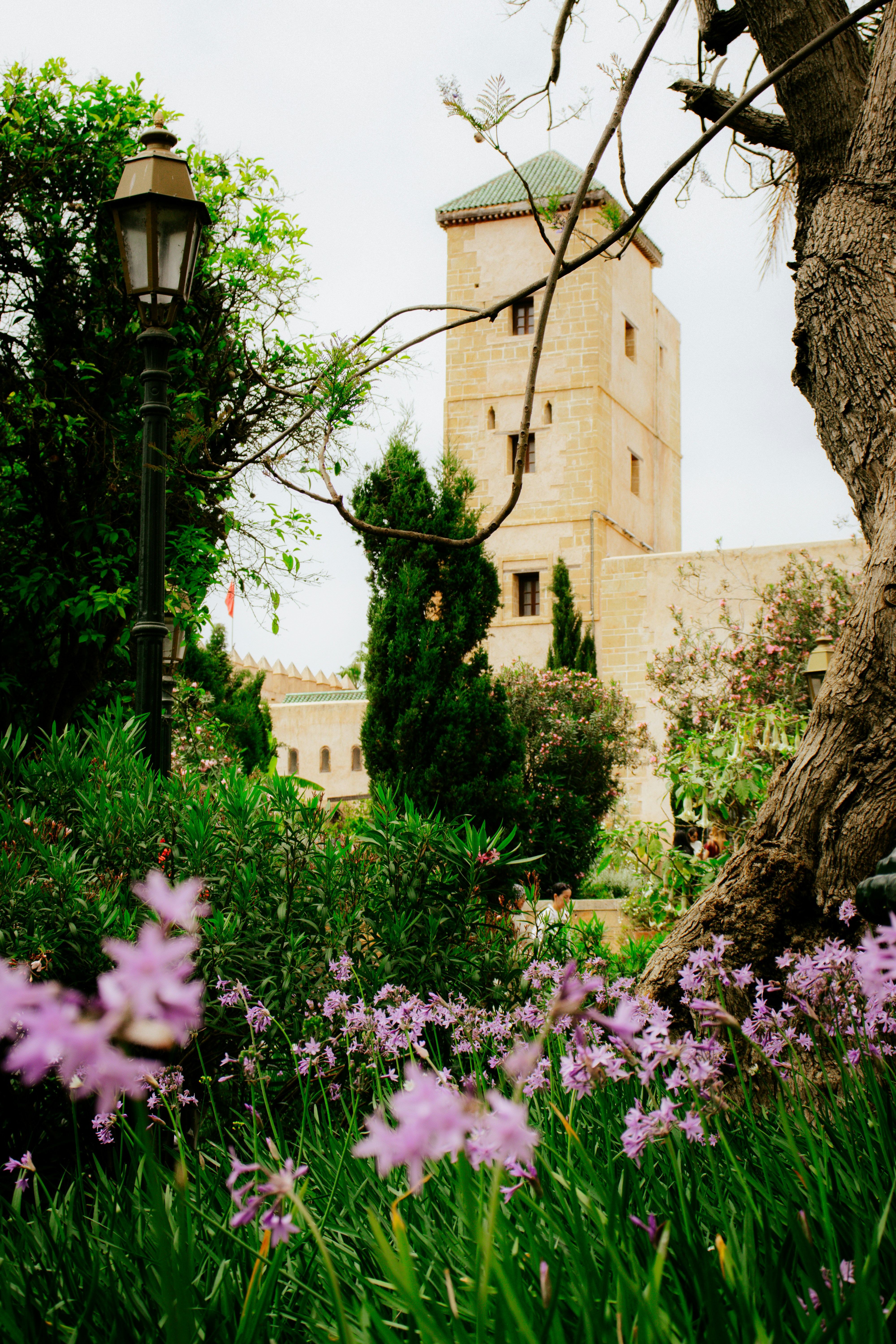 Stone tower rising behind a garden of lavender and ivy