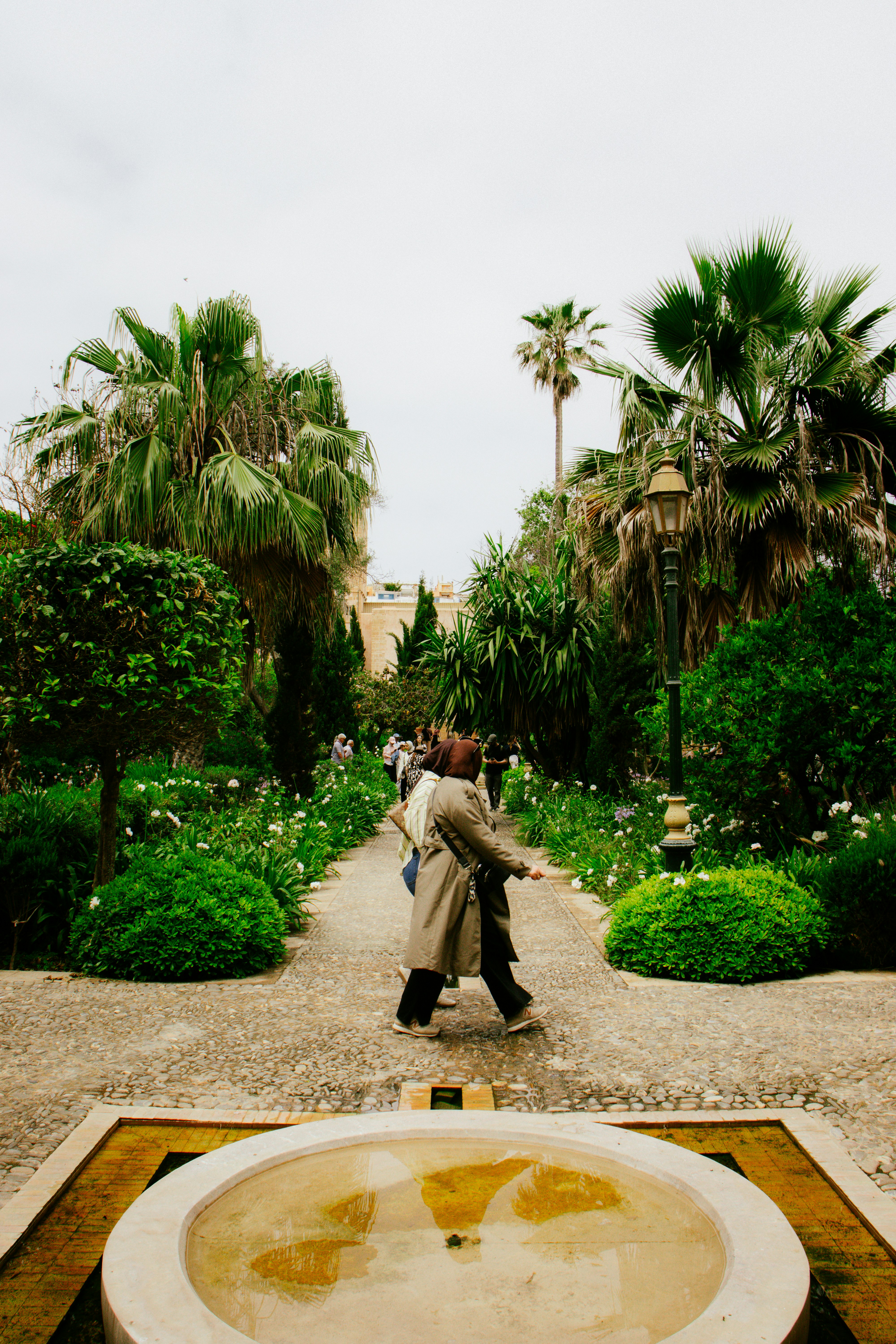 A Quiet Stroll Through Palmed Alleys Toward the Fountains