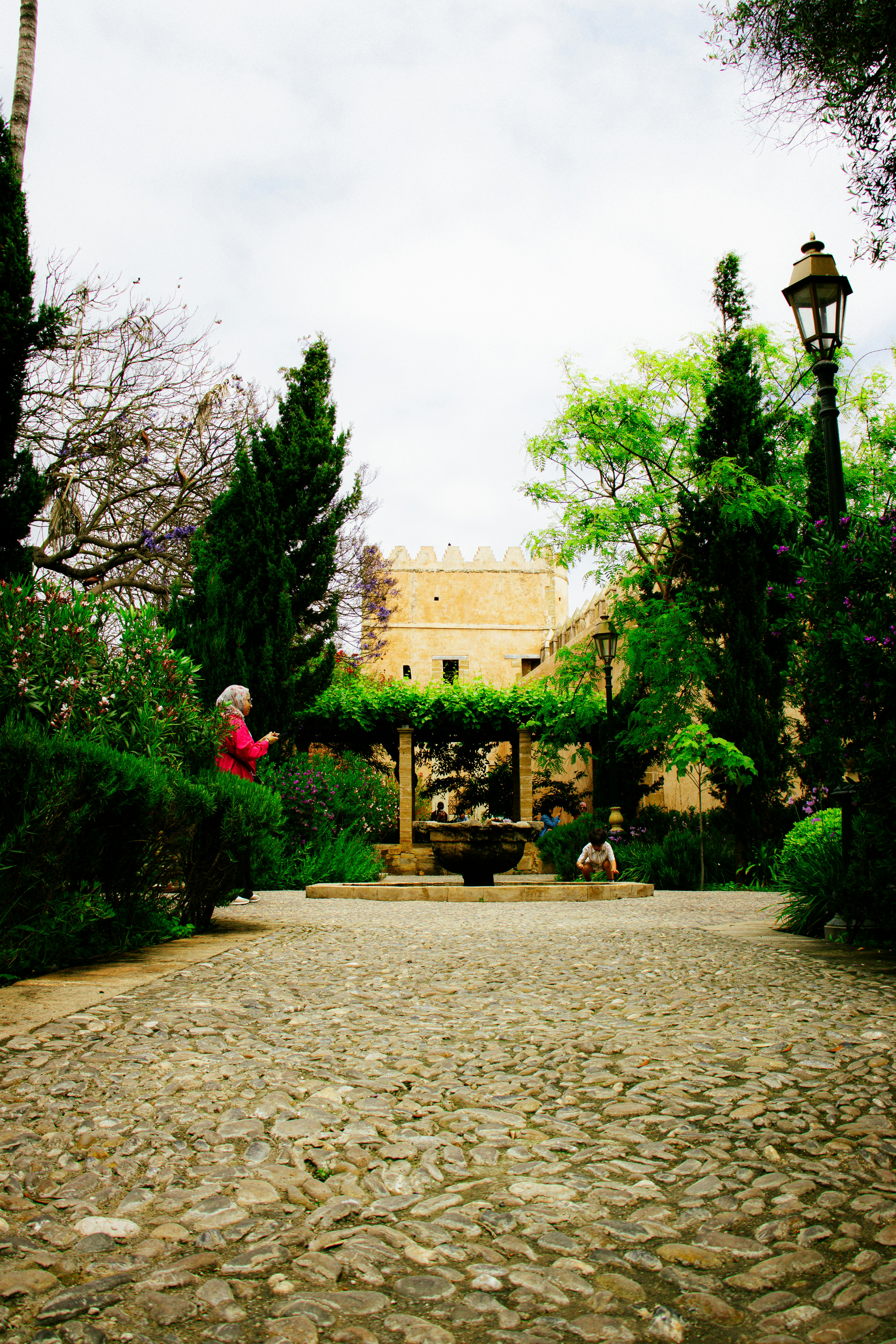 Stone Courtyard Reverie: A Garden Nook Framed by Arching Foliage