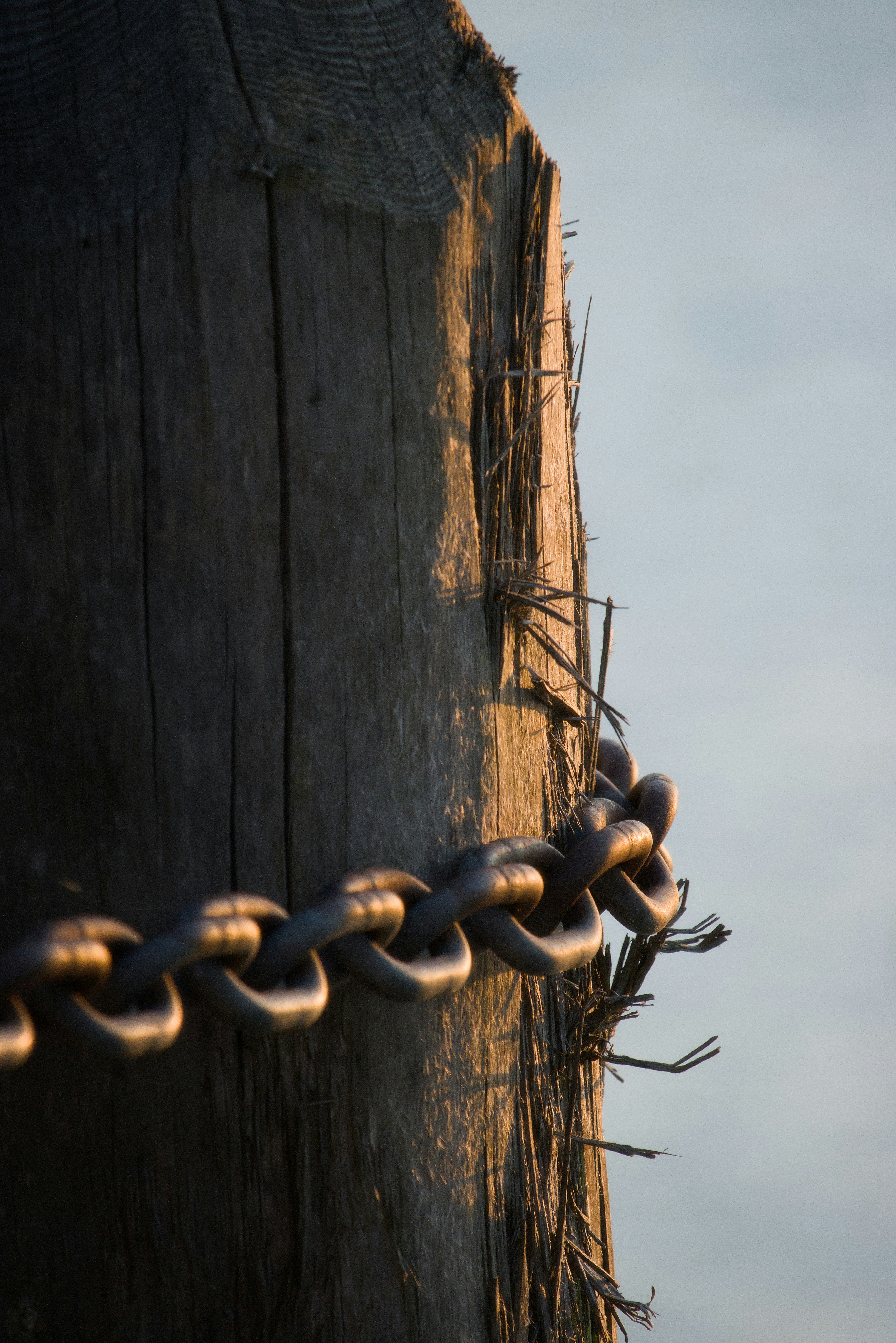 Rusted Chain on Weathered Pier Post at Golden Hour