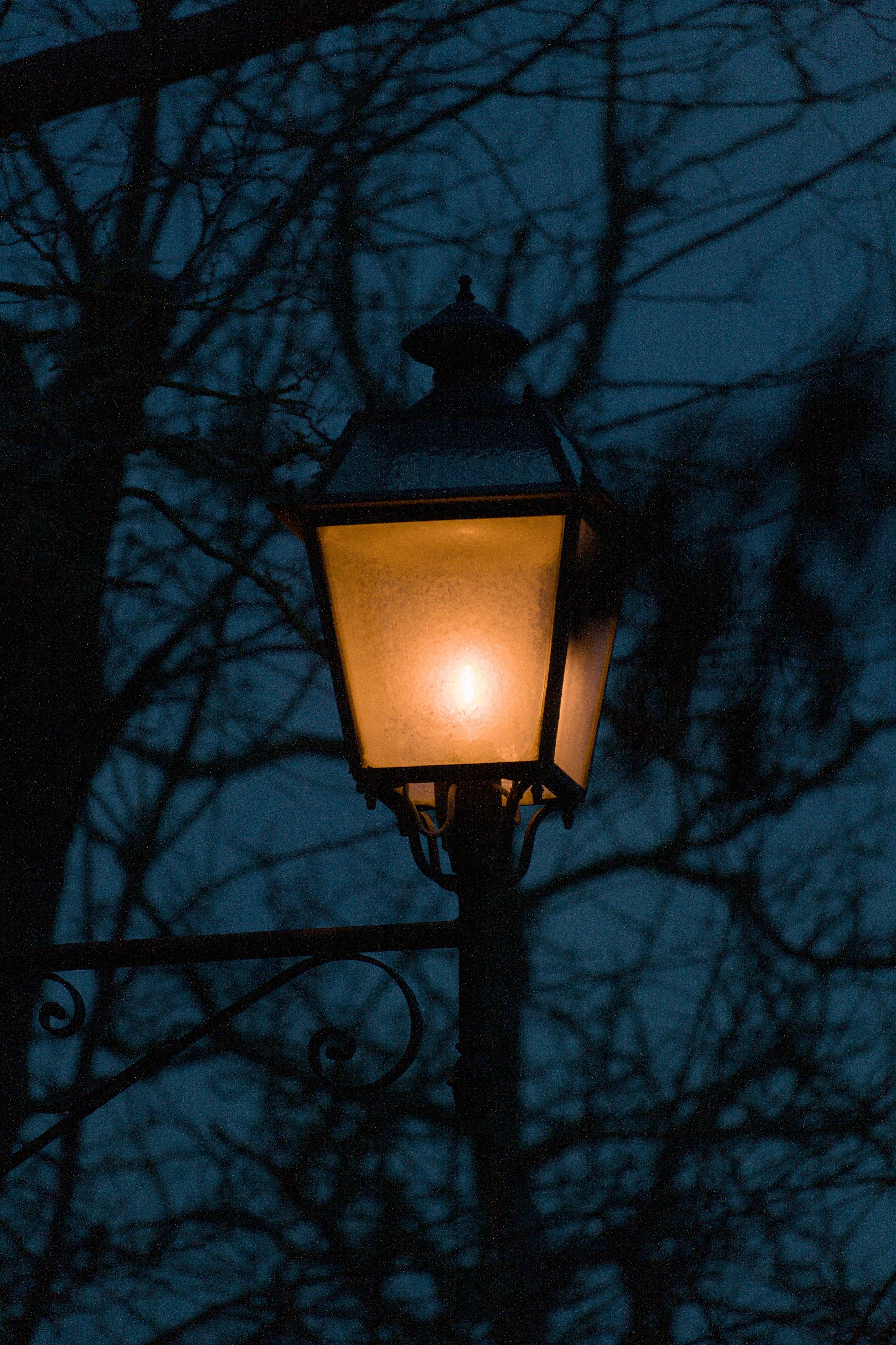 Glow in the Night: An Amber Lantern Amid Silent Branches