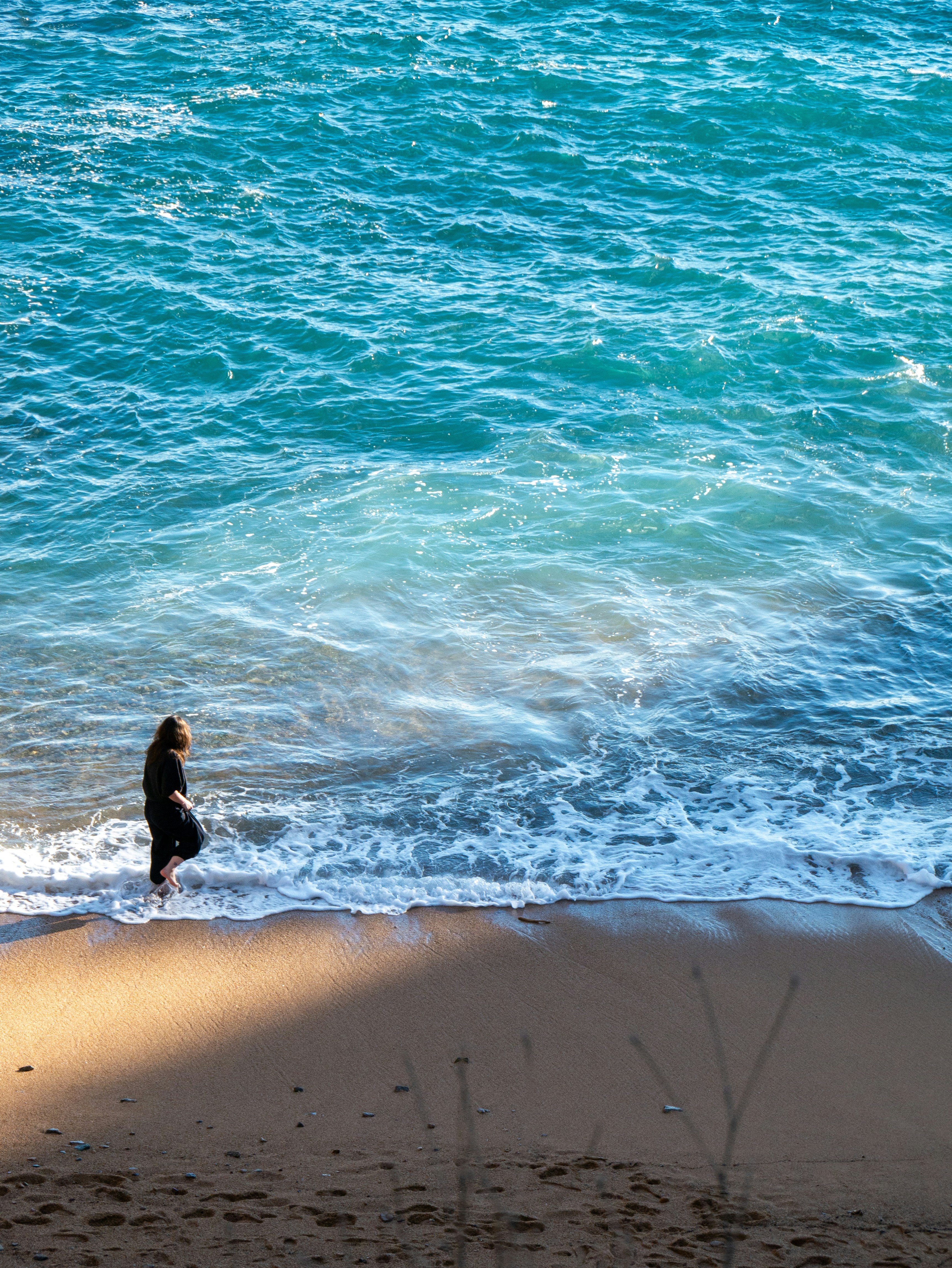 Solitary Wanderer at the Edge of Blue