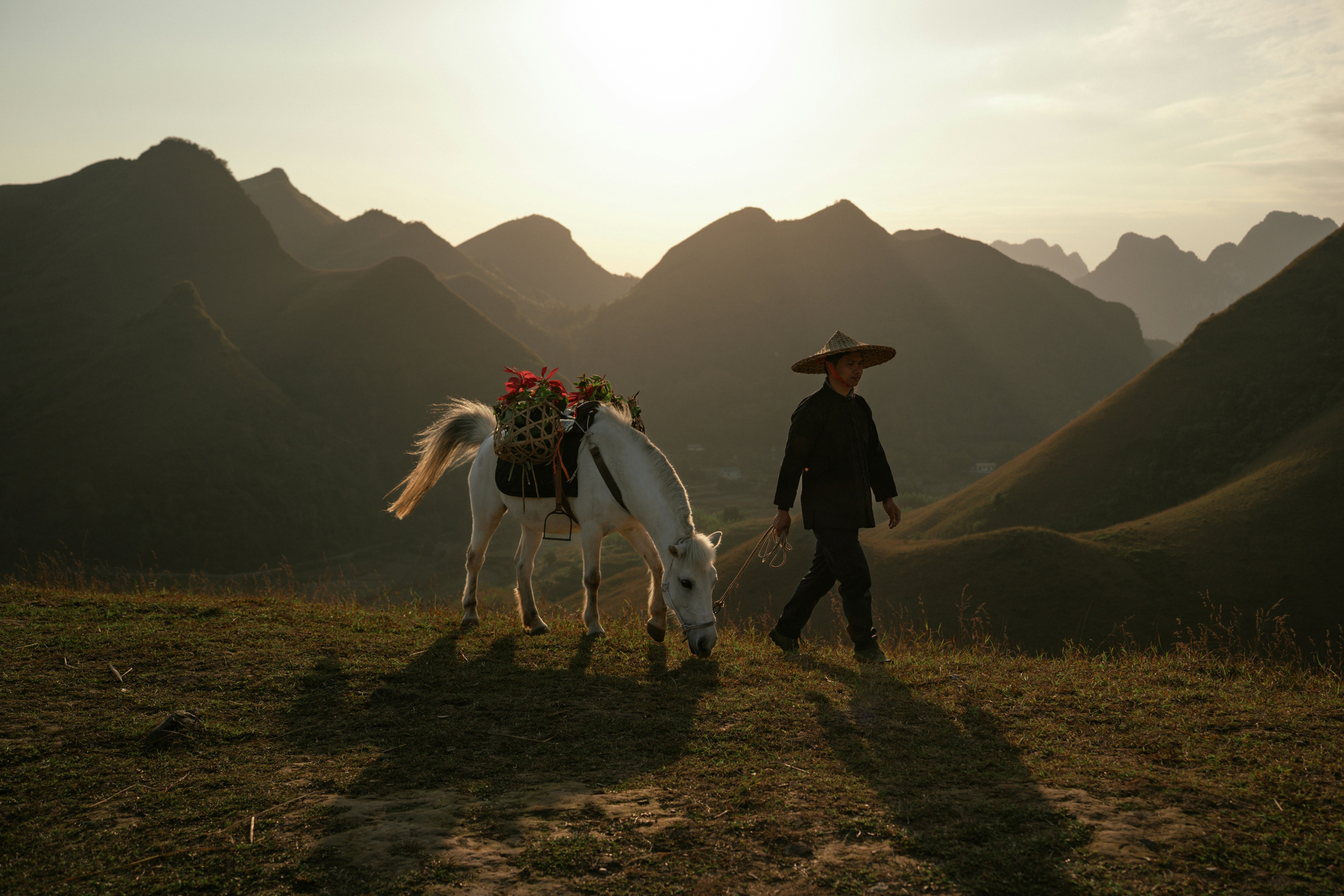 Lonely Guide and its Flowered Companion on a Distant Ridge