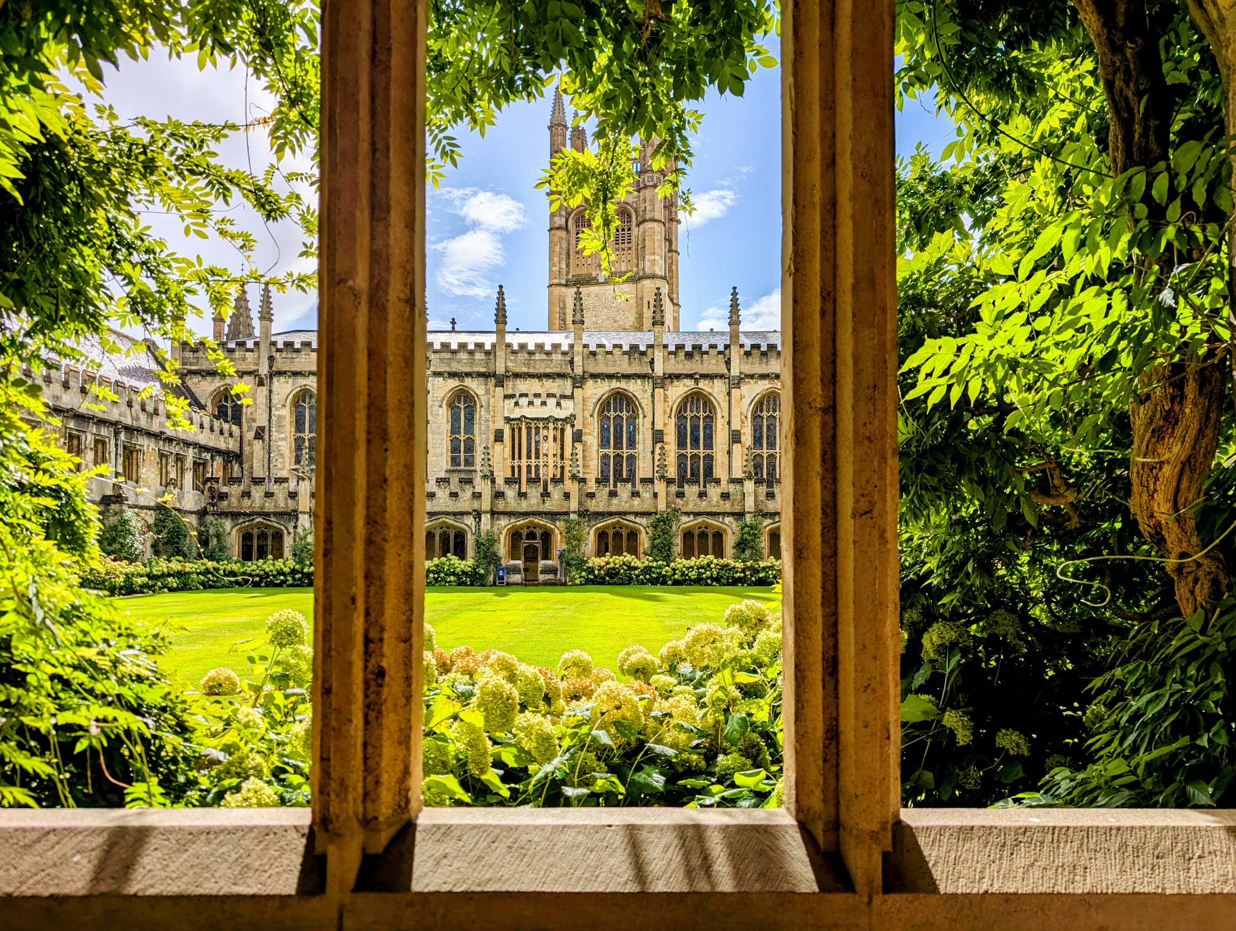 Through the Cloistered Window: A Sunlit Campus Vista