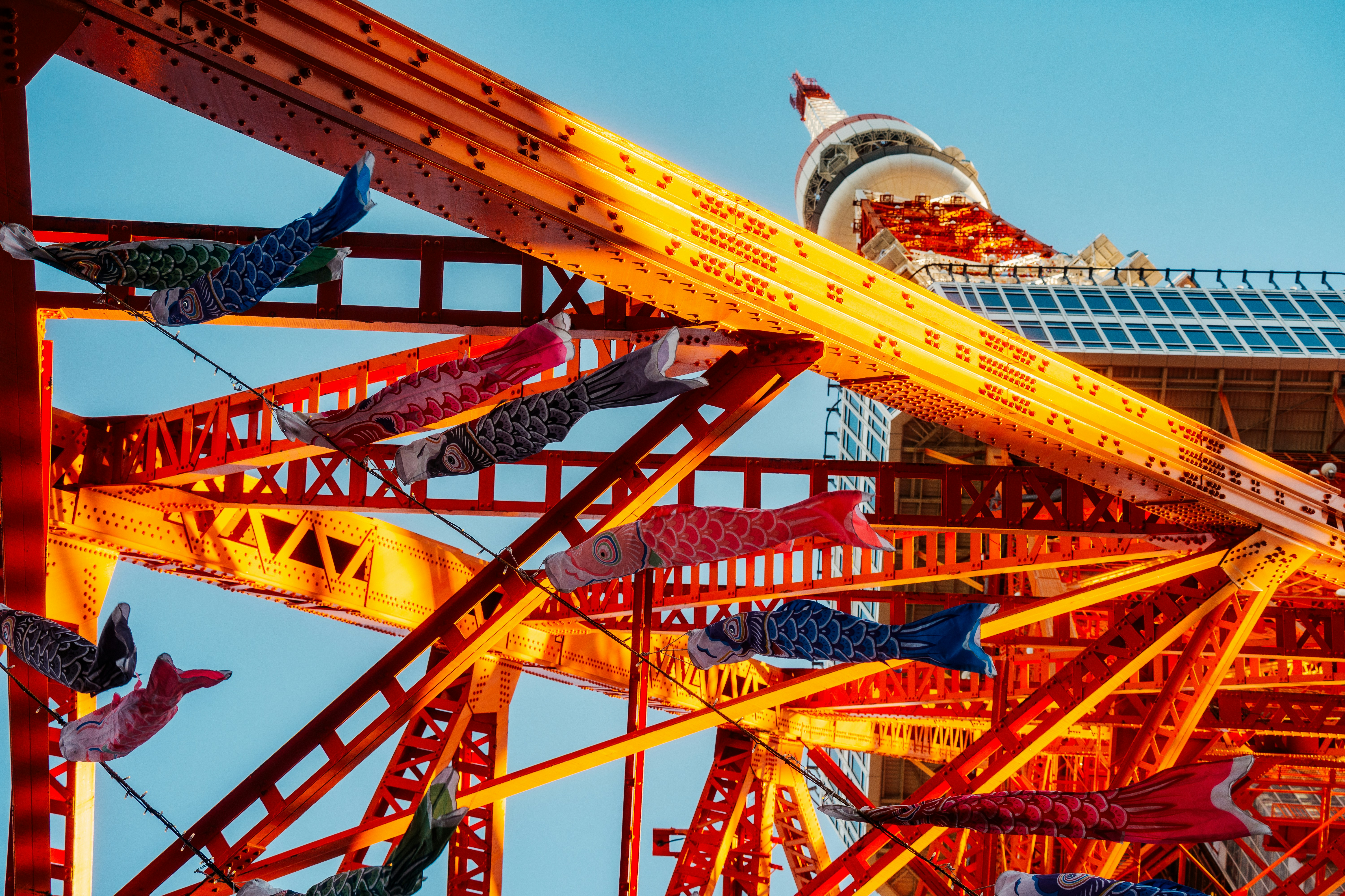 Kinetic orange framework: a close-up of colorful roller-coaster beams under a bright blue sky