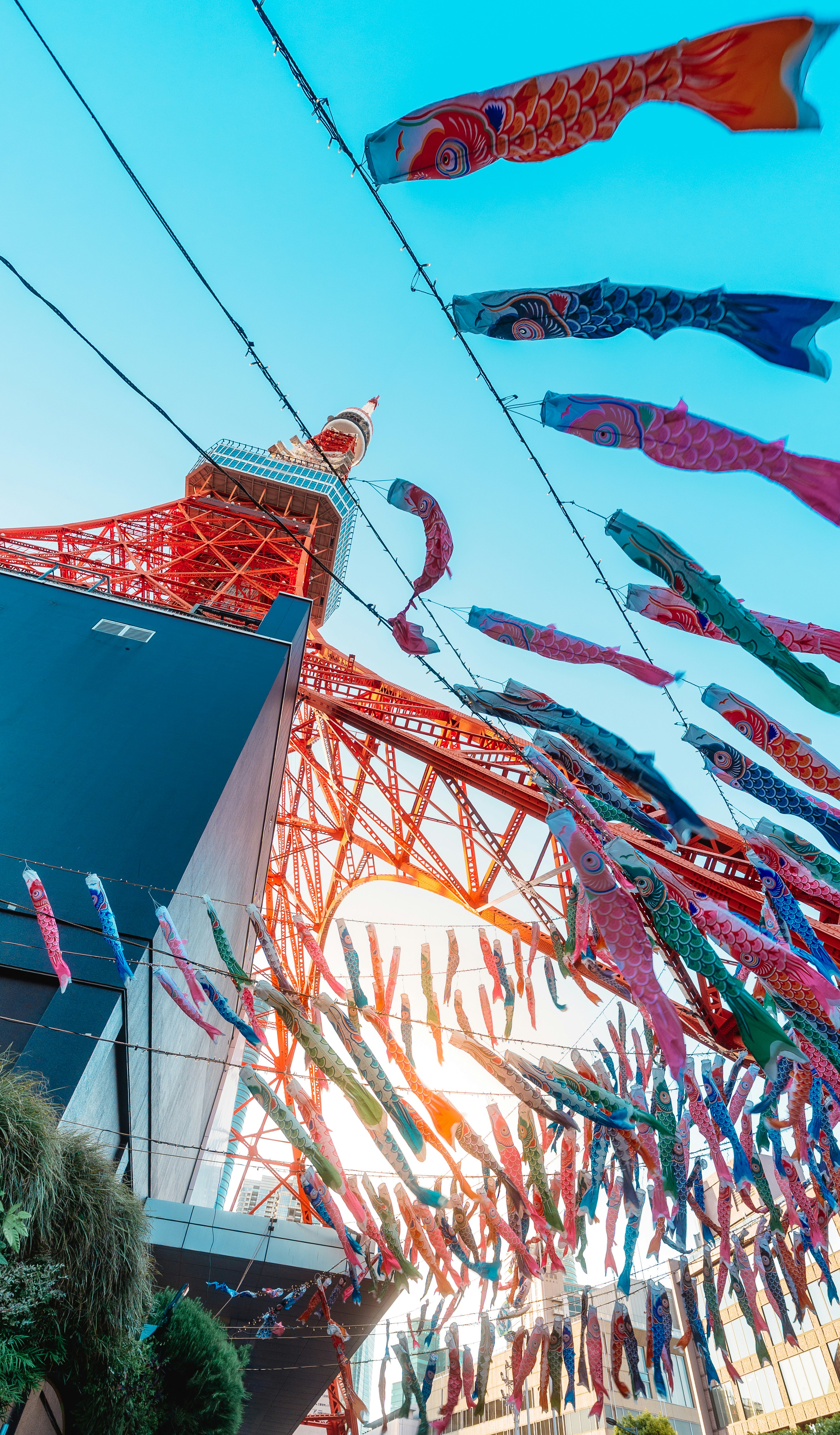 Tidal of Colors: Koi Streamers Over Osaka Tower