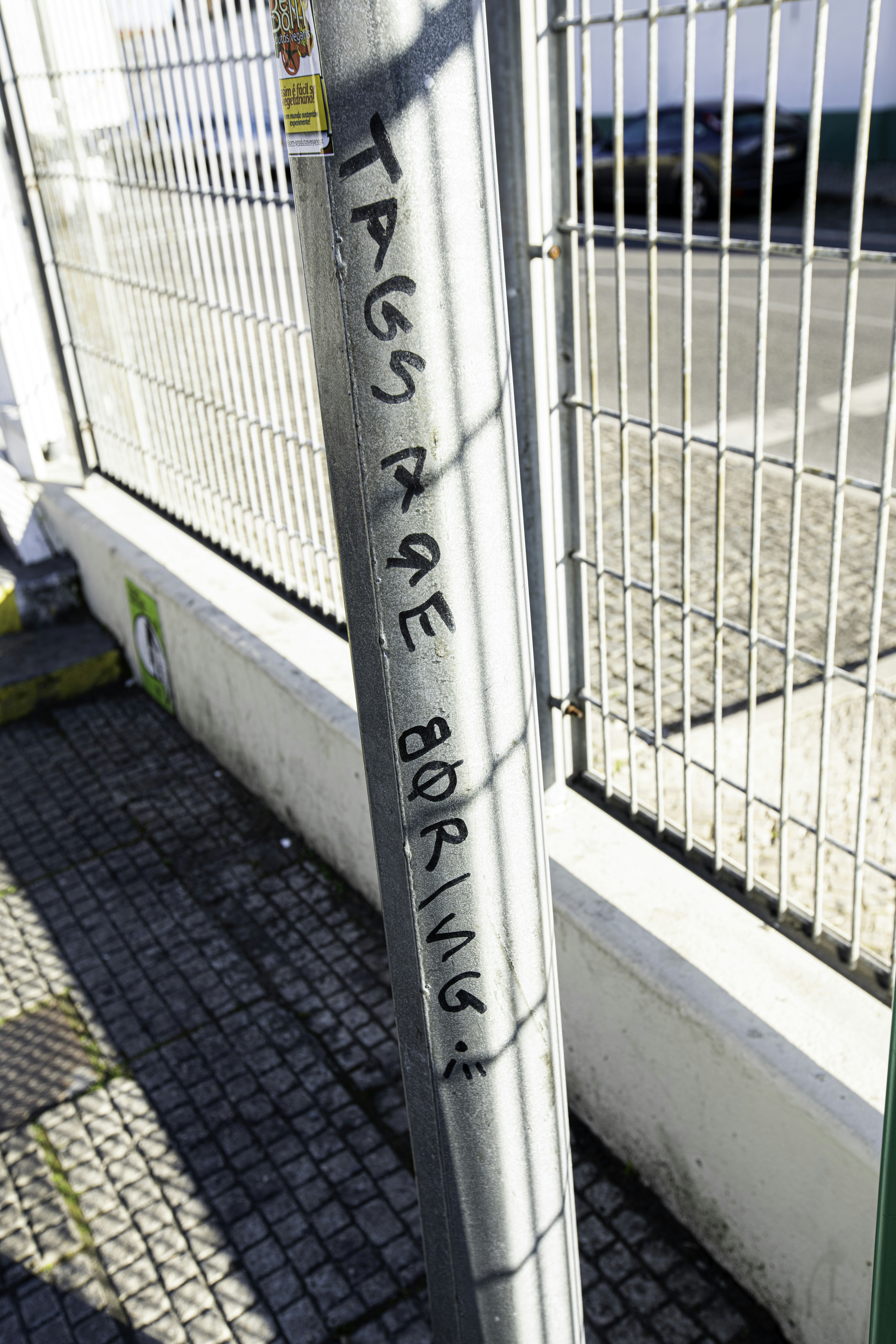 Graffiti Grail: Vertical Steel and Shade on a Fenced Street