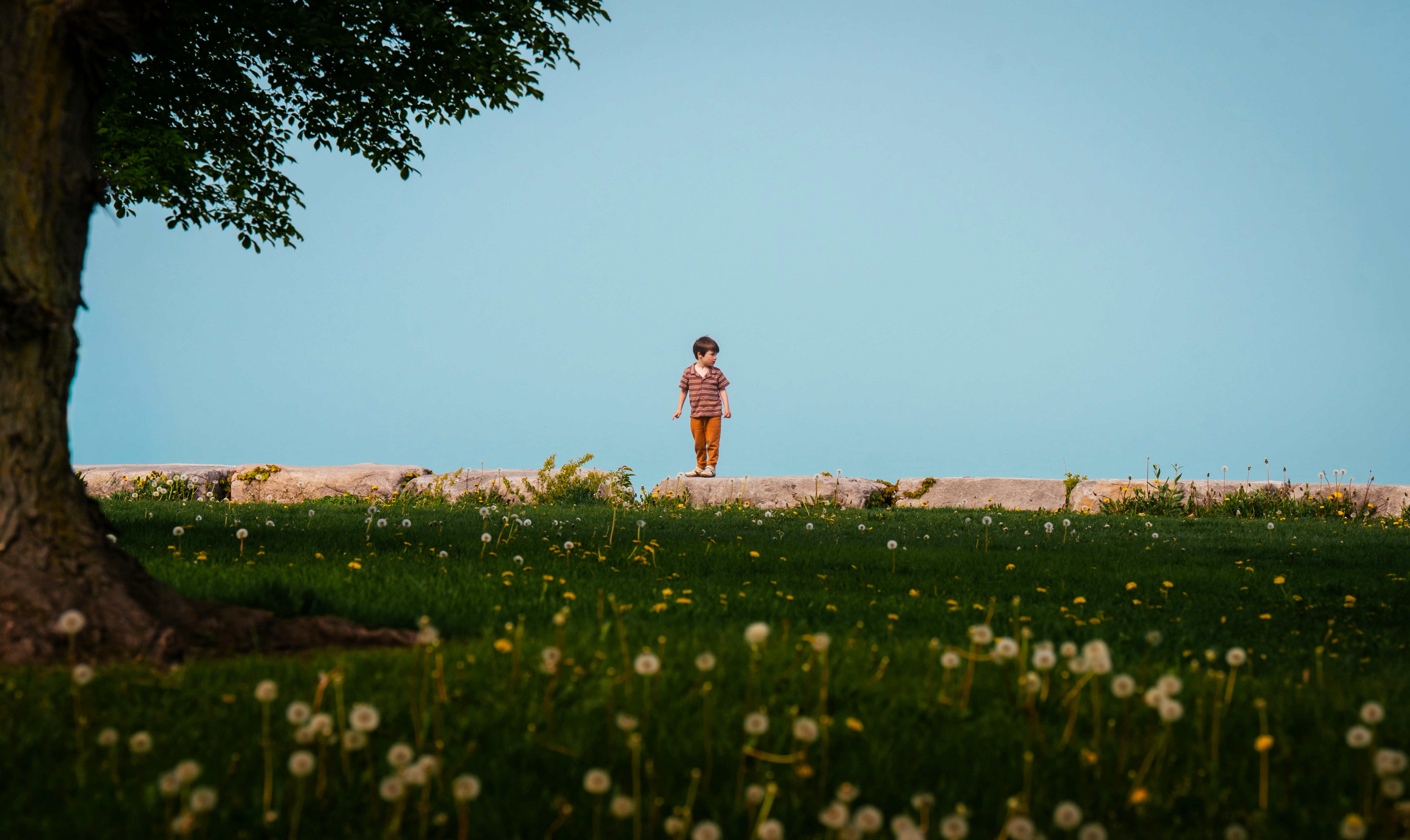 Lonely Figure on the Dune: A Child in a Sea of Grass