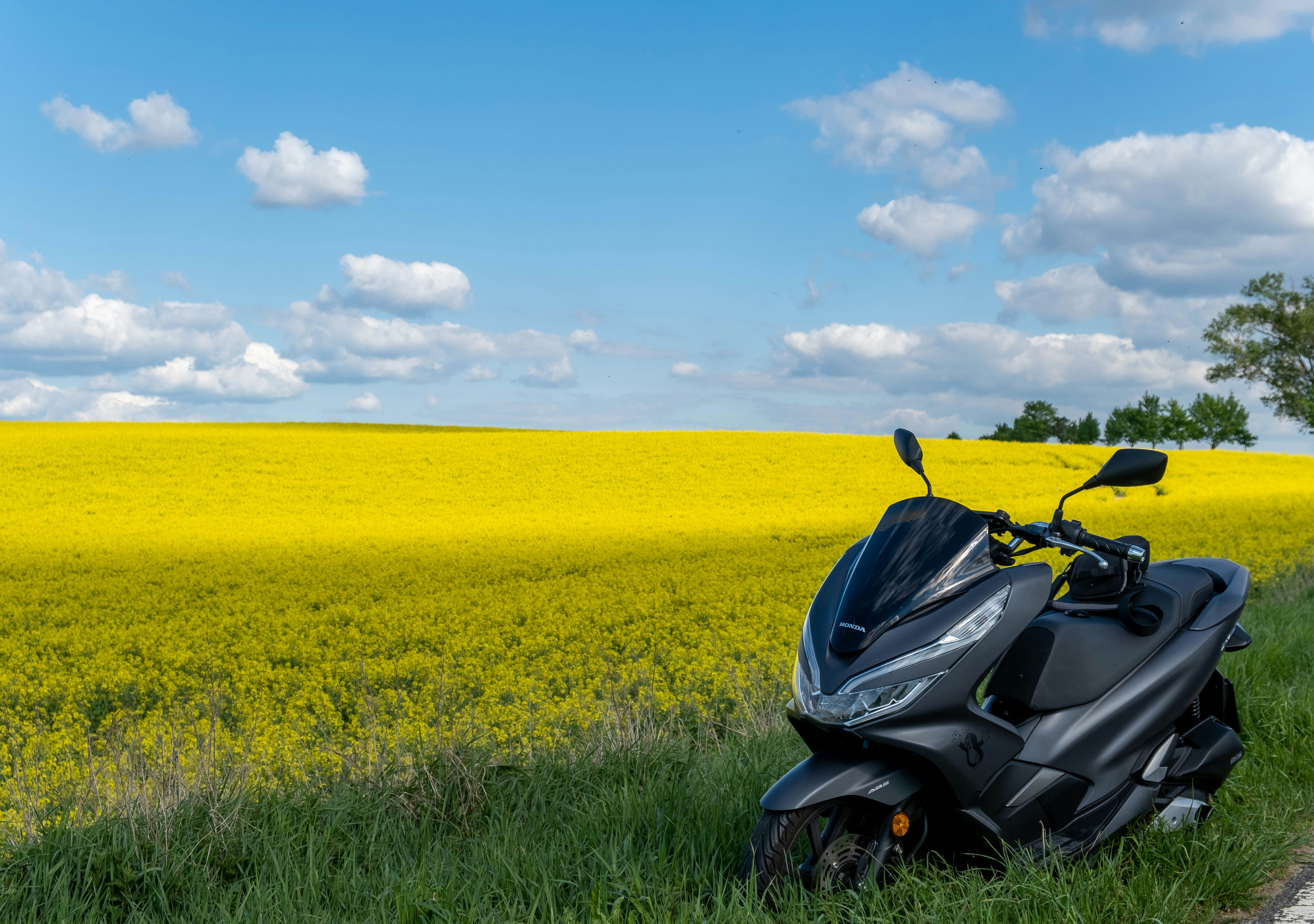 Motor scooter at the edge of a yellow canola field under a sky of puffy clouds
