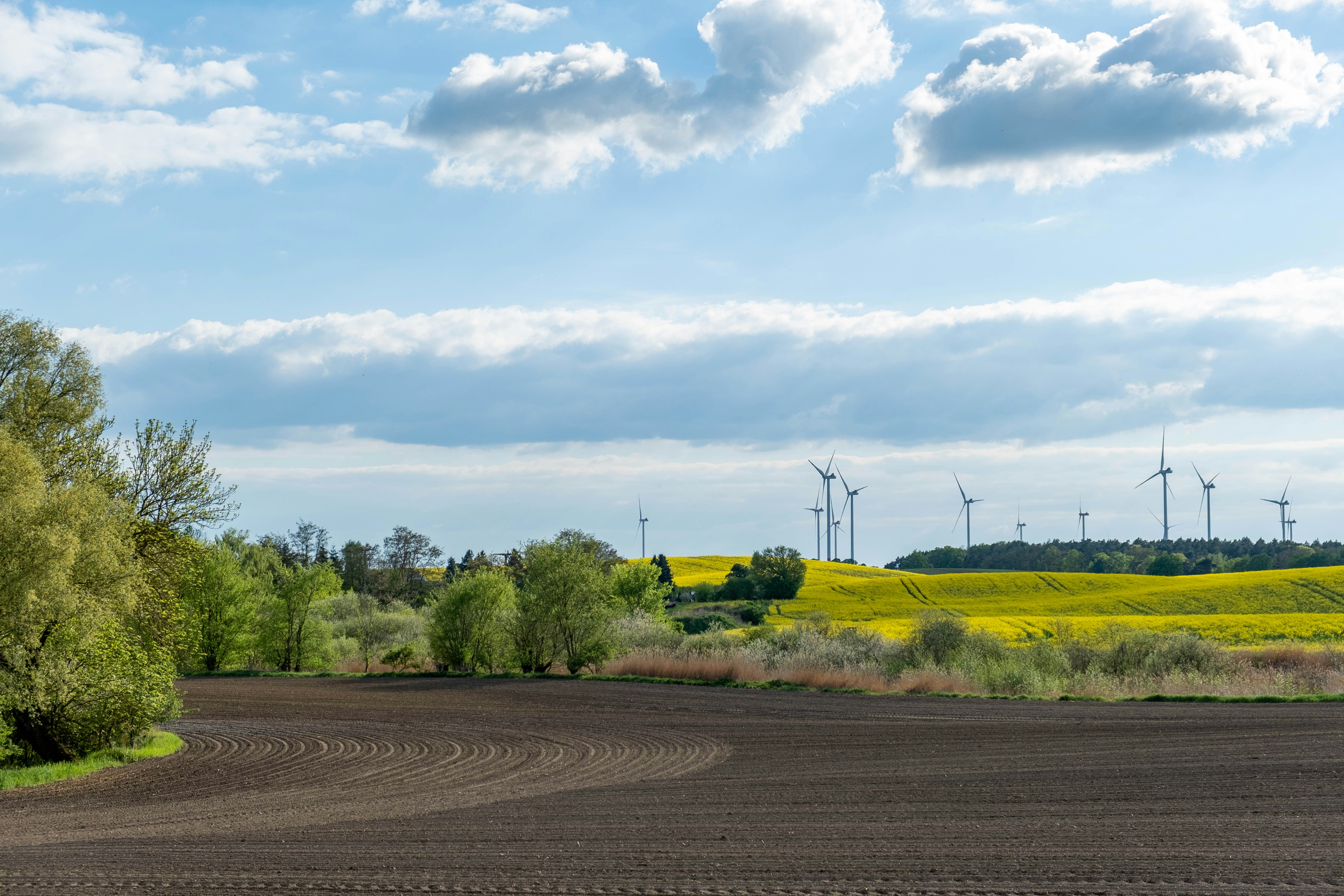 Wind turbines on a sunlit pasture under a crisp spring sky