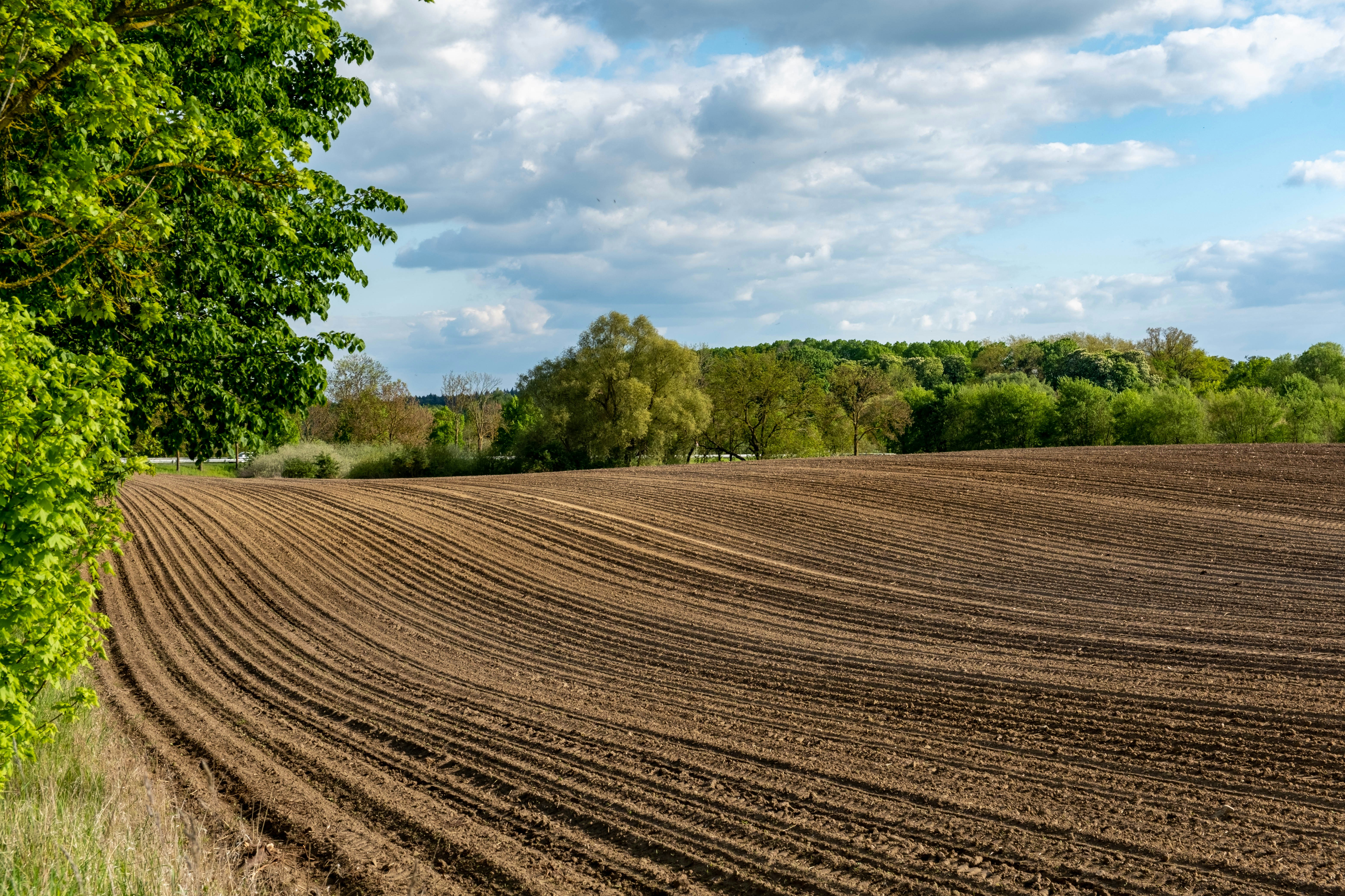 Plowed Field Converges Toward a Verdant Horizon
