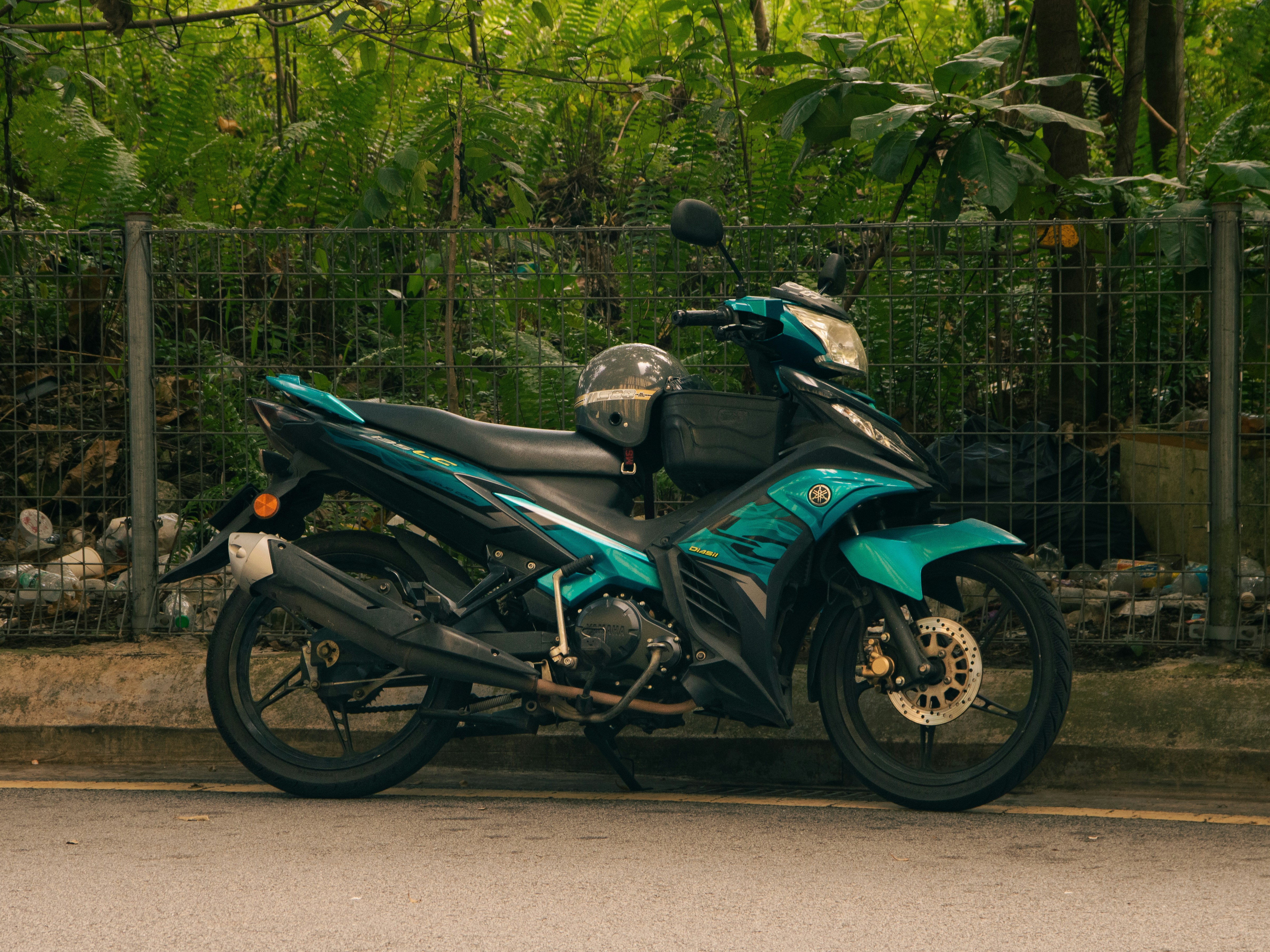 Teal Stallion: A Street-Lide Motorcycle Resting by the Green Boundary