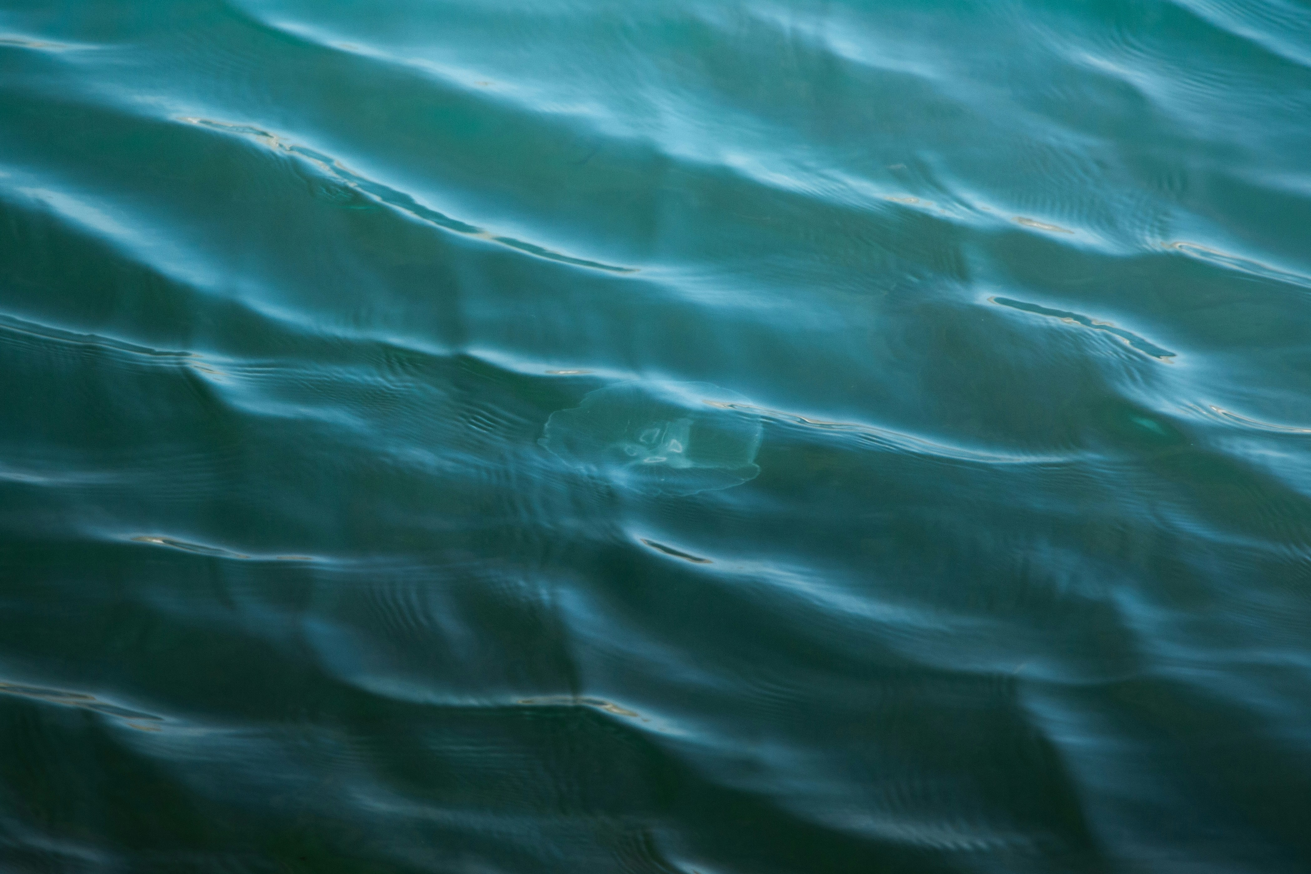 Ocean Veil: Silent Waves in Turquoise Light