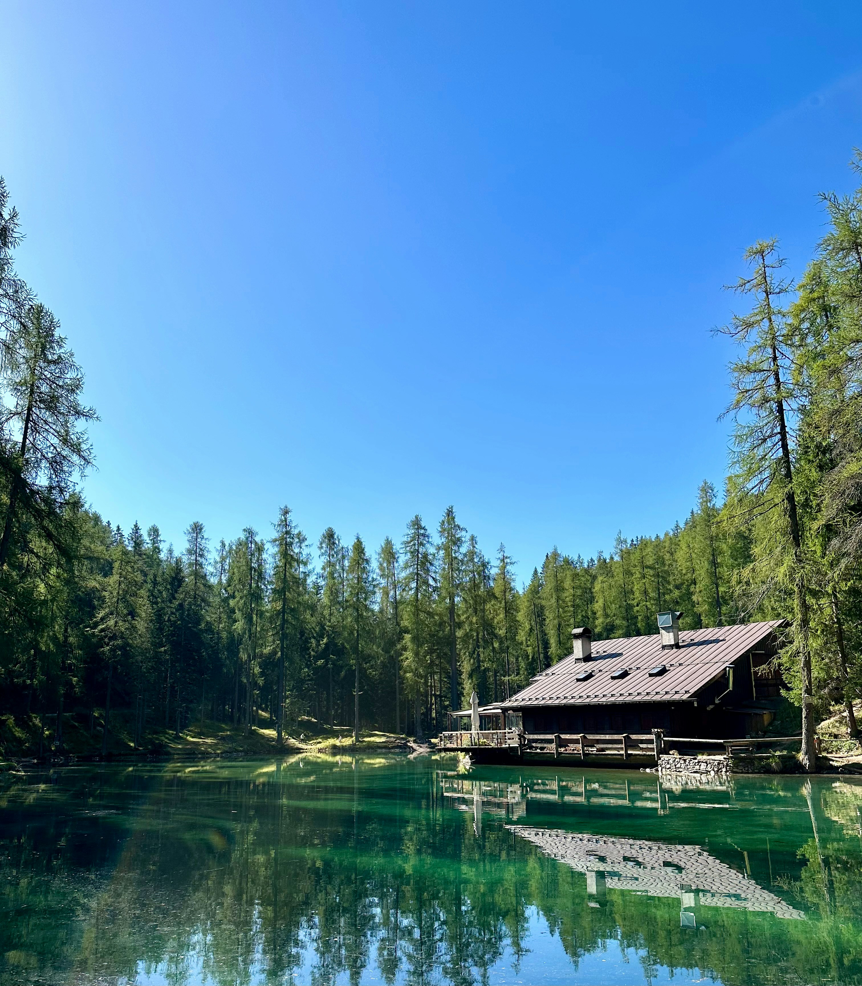 Lakeside Cabin Amid Verdant Pines
