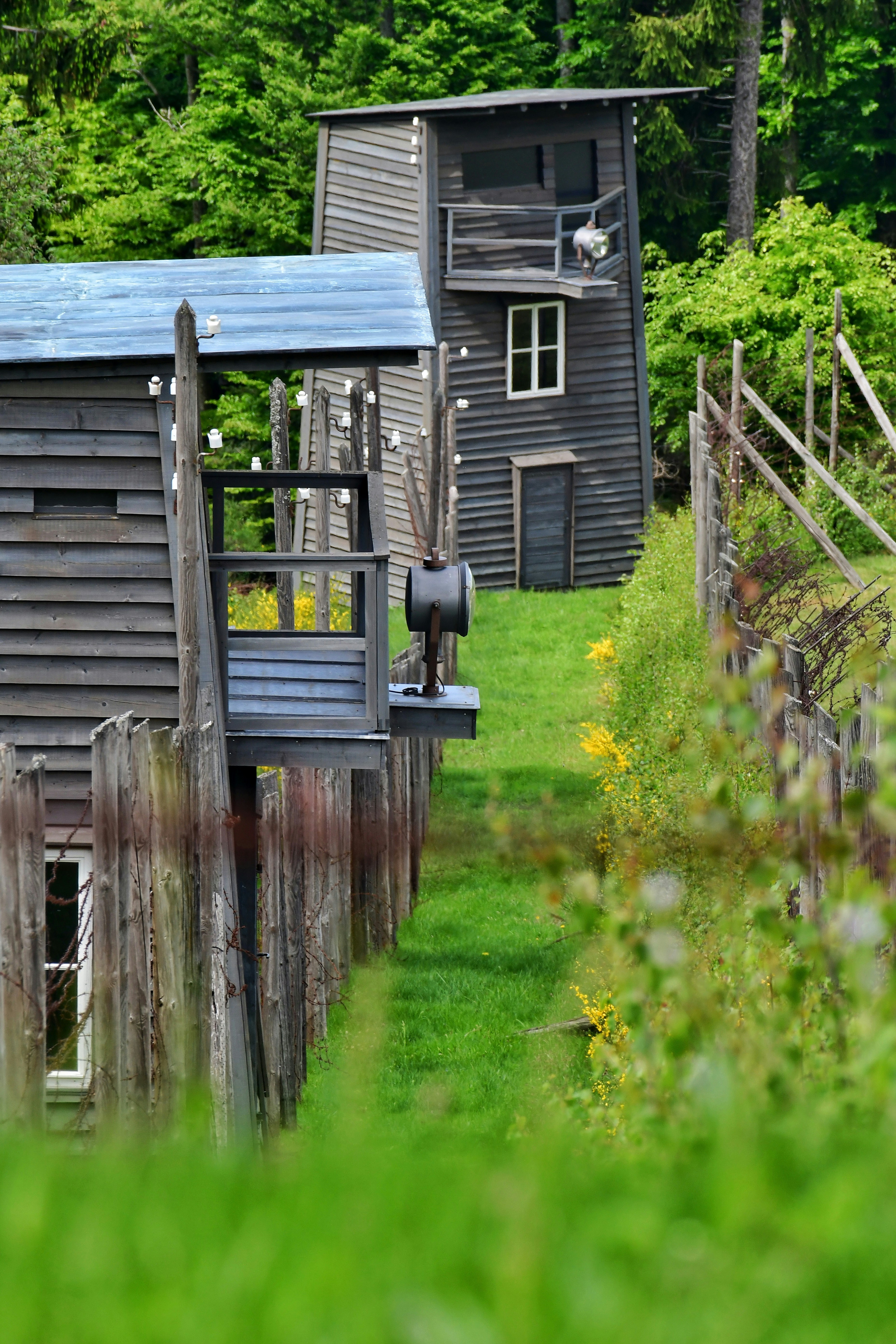 Weathered Outpost: Vertical Coop Towers Above the Green Corridor
