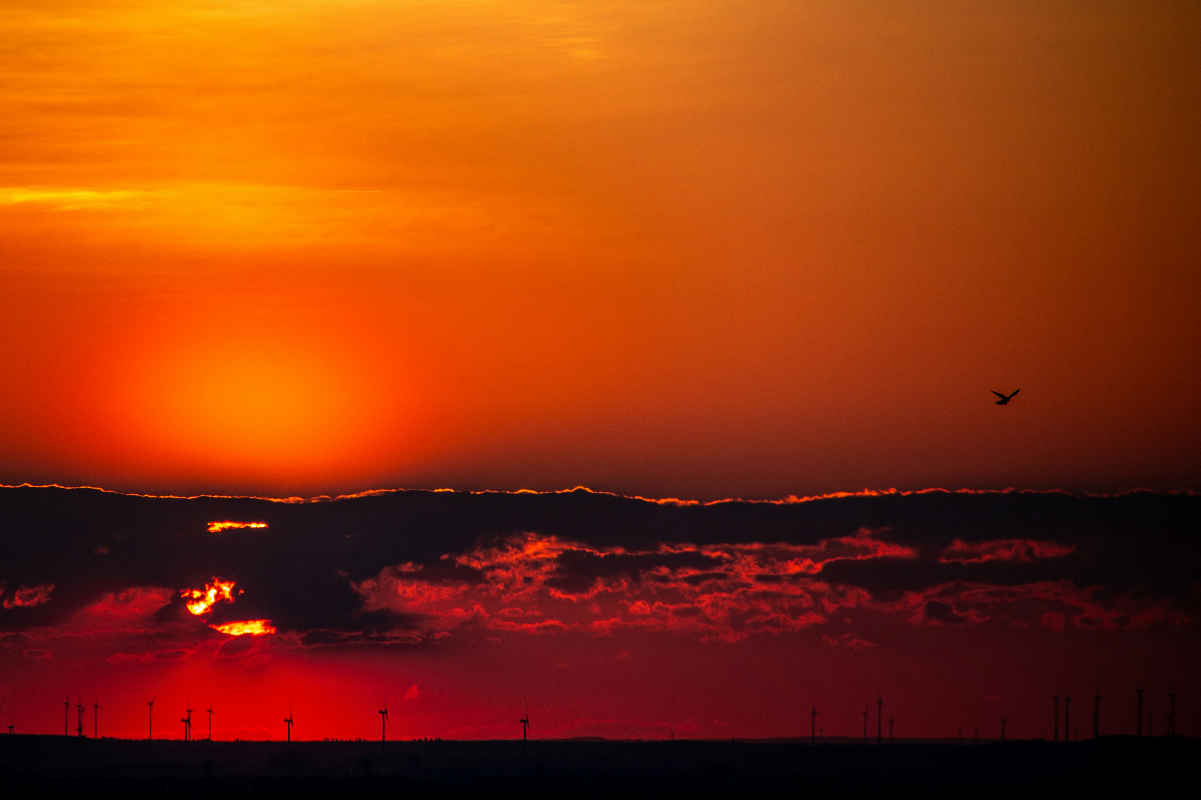 Crimson Horizon: Sun-Burnished Quiet Over Distant Wind Turbines