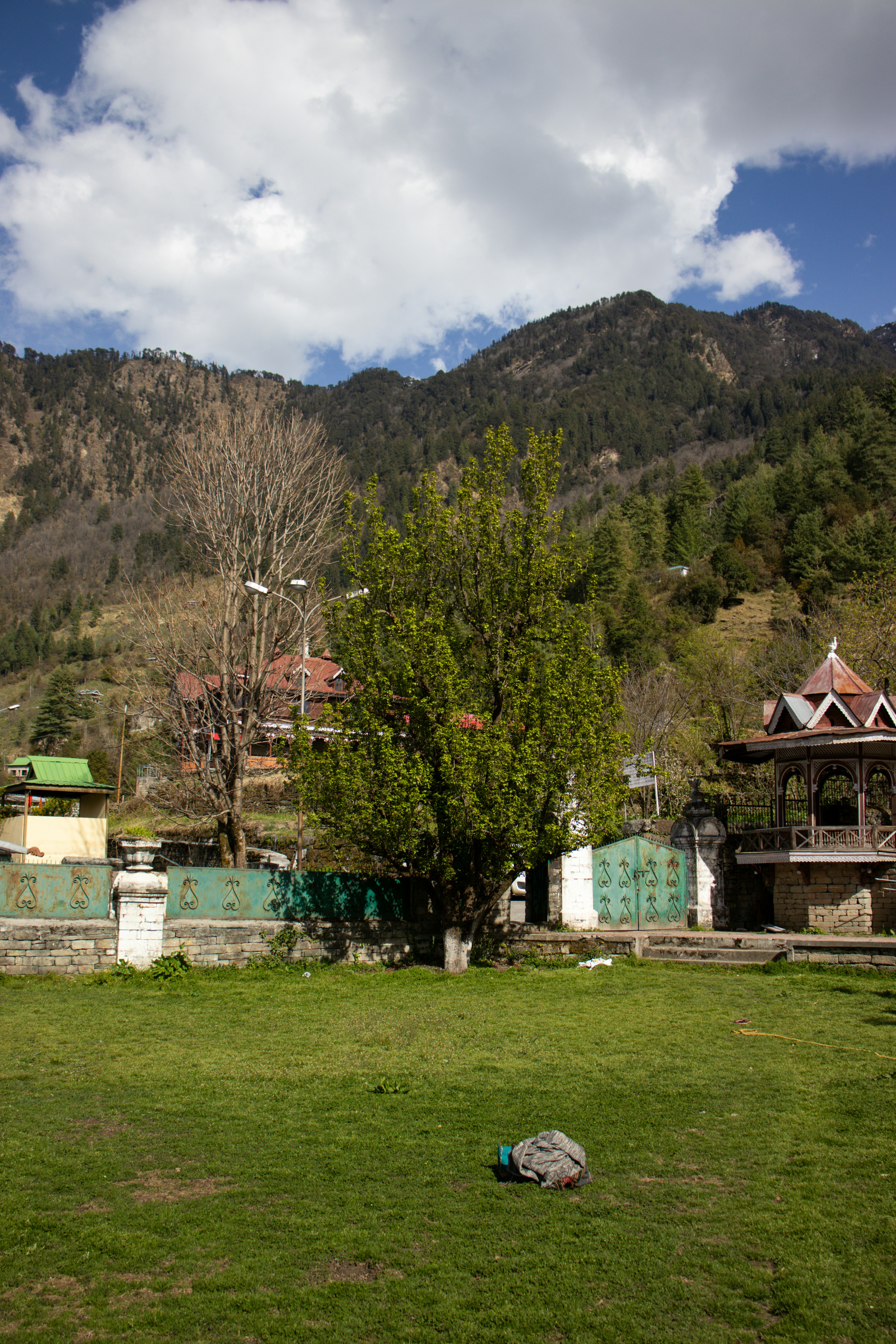 Solitary Tree at the Foot of a Mountain Village