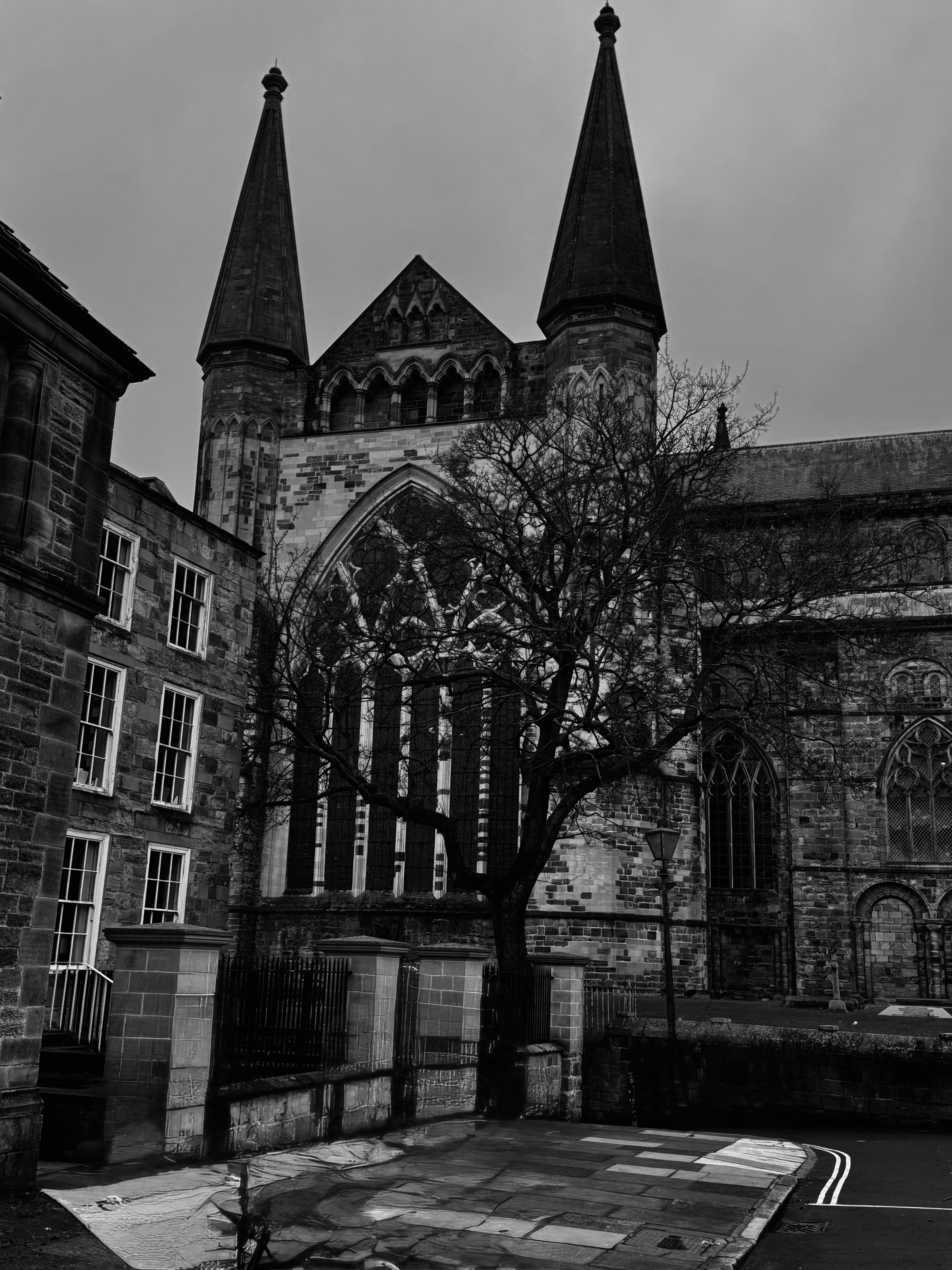 Gothic Facade Framed by Leafless Tree