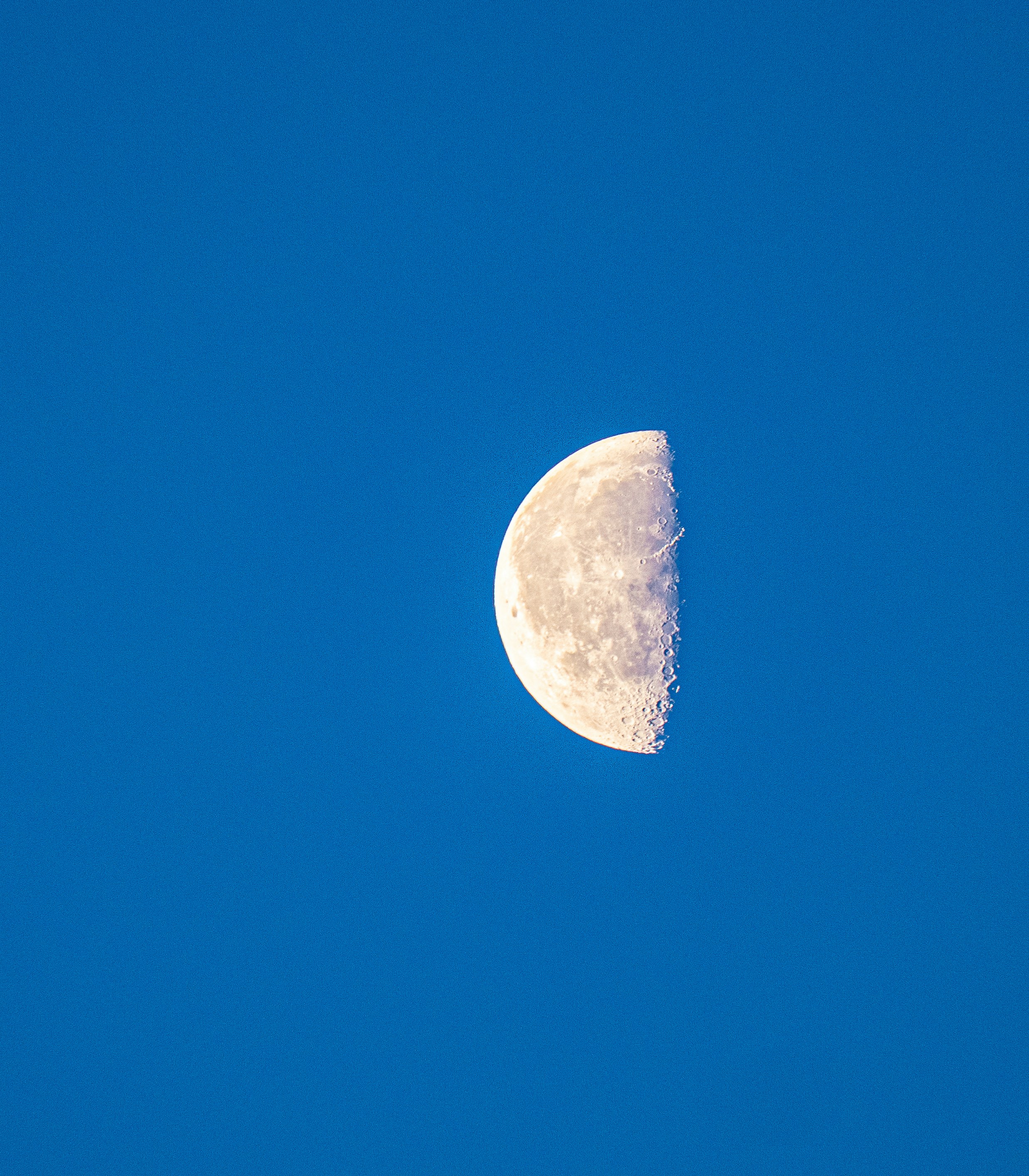 Waxing Half Moon in a Cerulean Sky