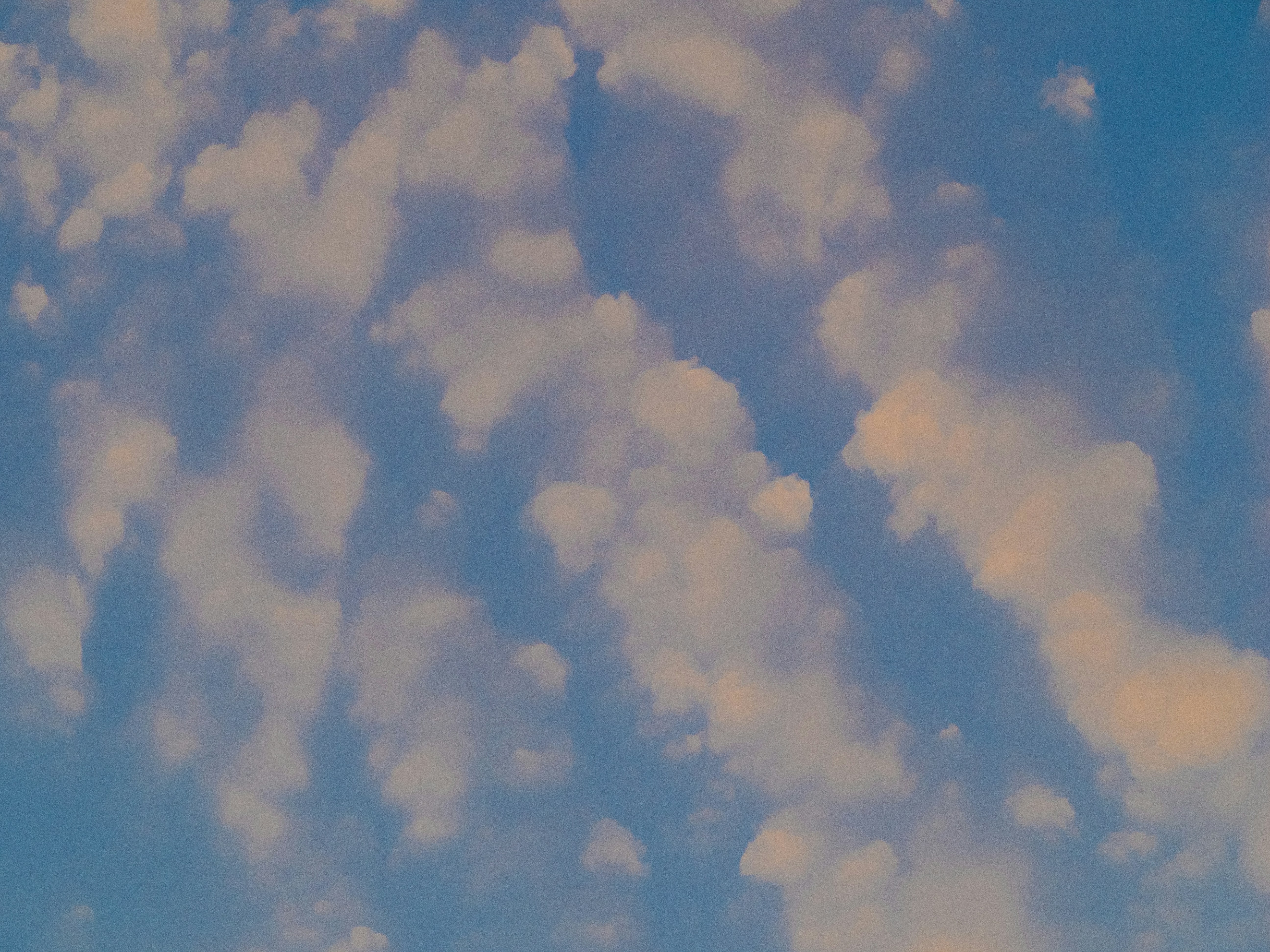 Soft Altocumulus Slices Above a Quiet Blue Sky