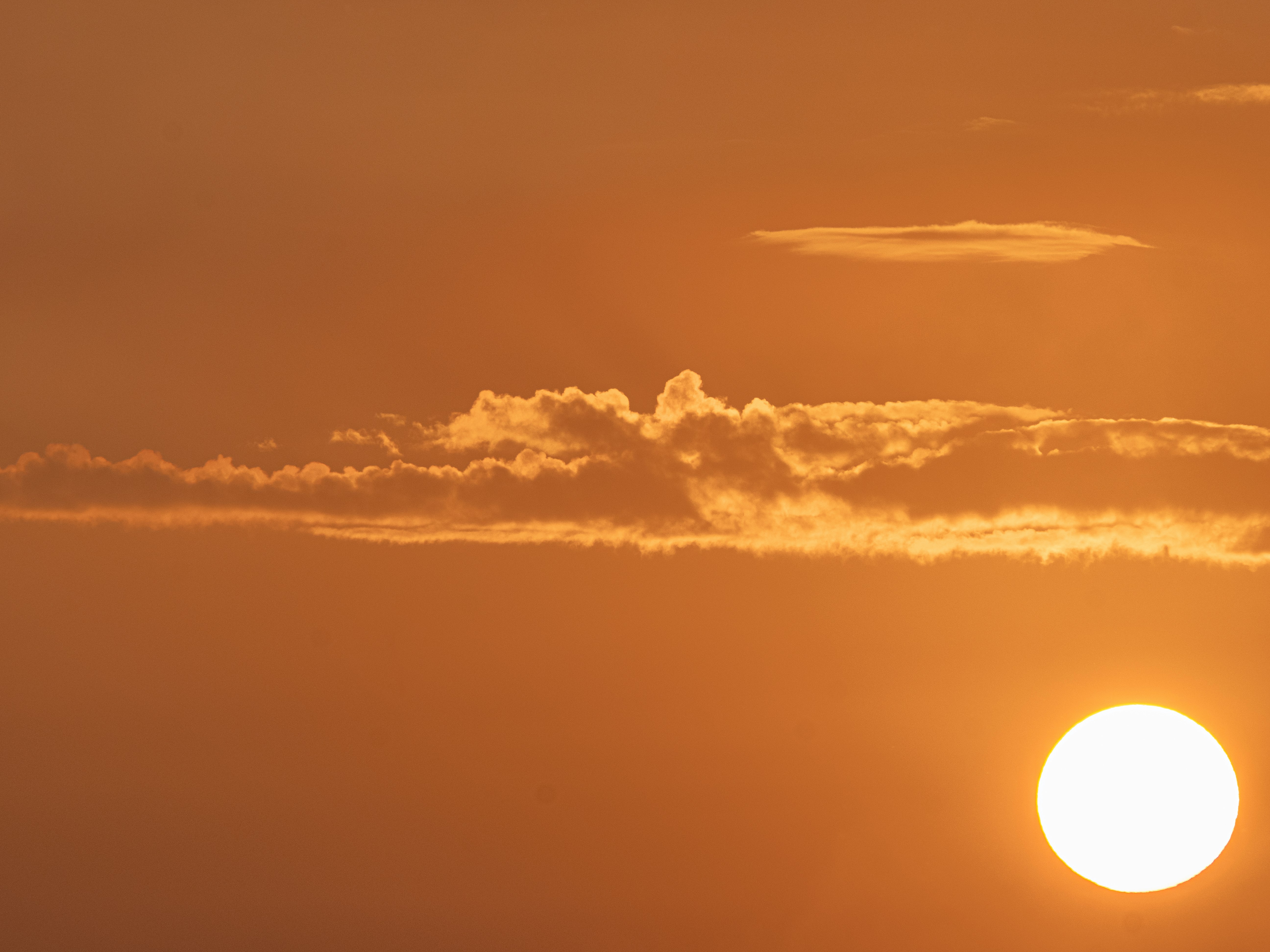 Sunlit Horizon: A Quiet Golden Hour