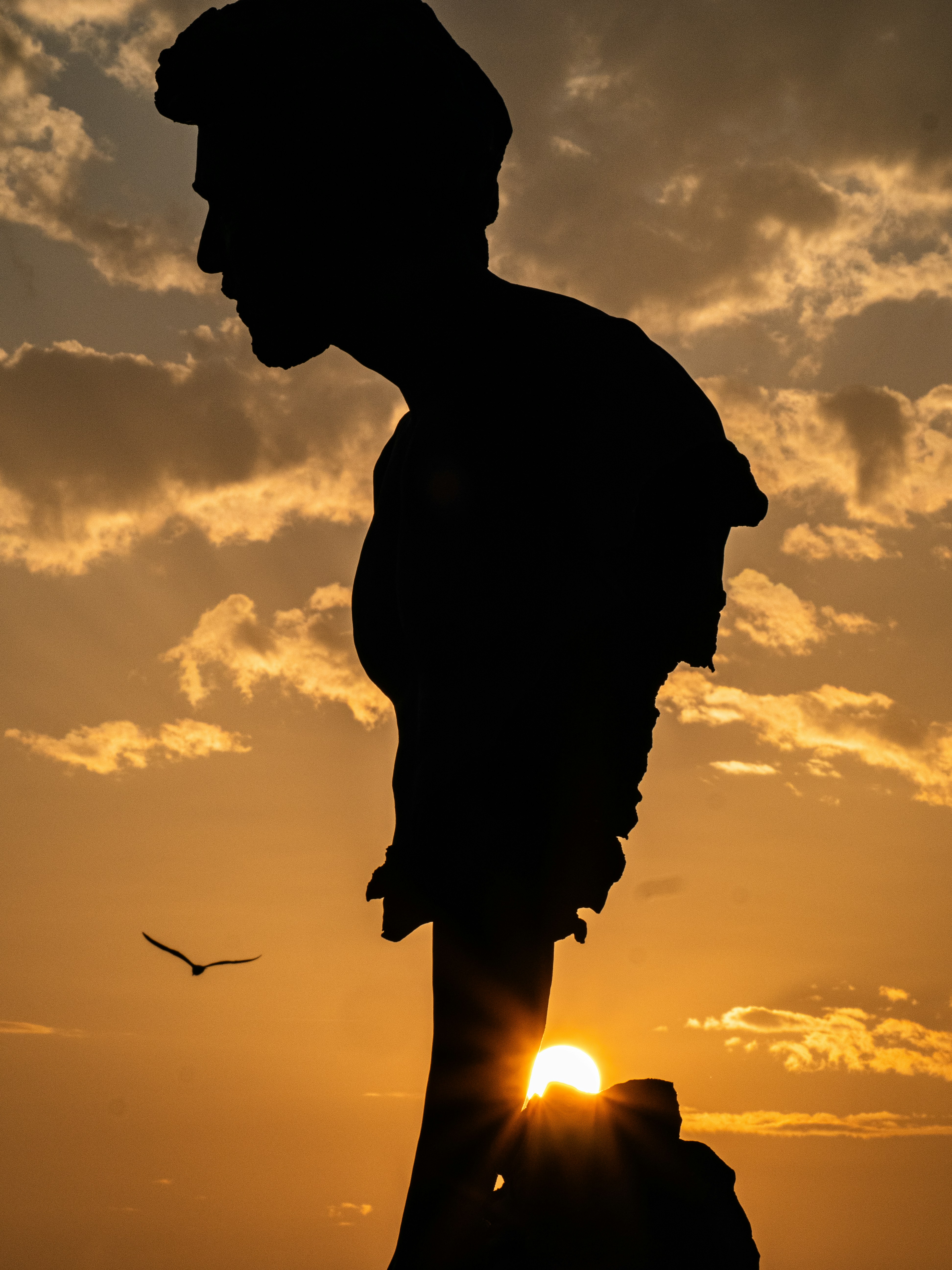 Silhouette Against a Rising Sun: A Contemplative Moment