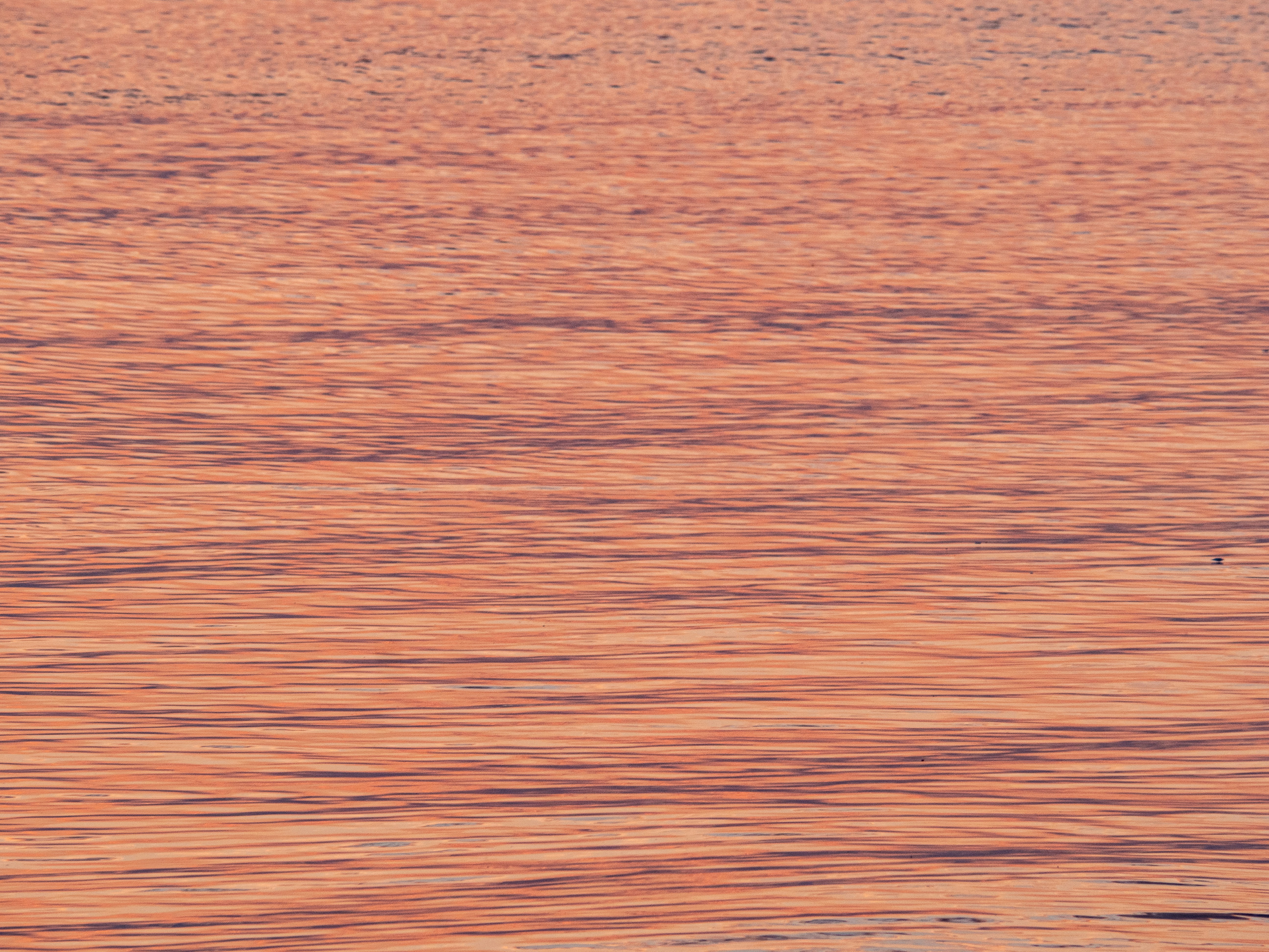 Evening Tides: A Quiet Palette of Sunset Ripples