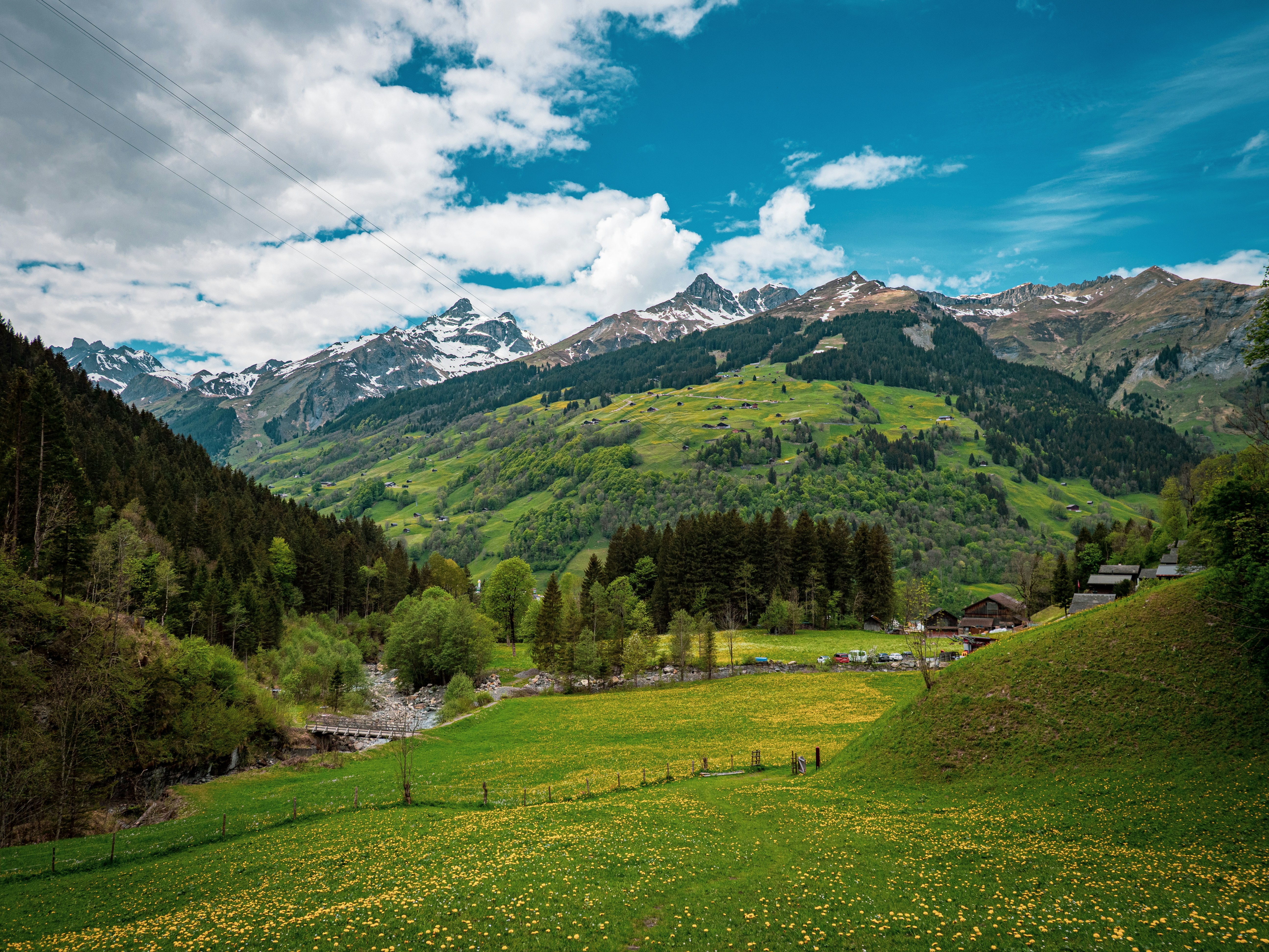 Sunny valley with meadow and distant snow-capped Alps