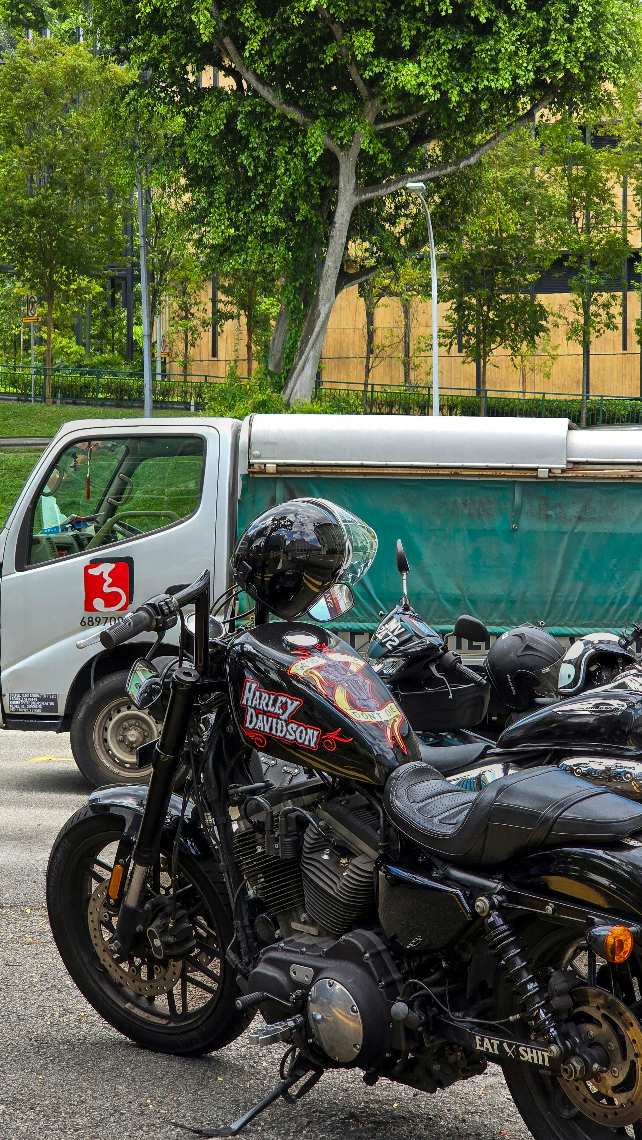 Chrome and Chrome: Street Stallion in Parker Shadow