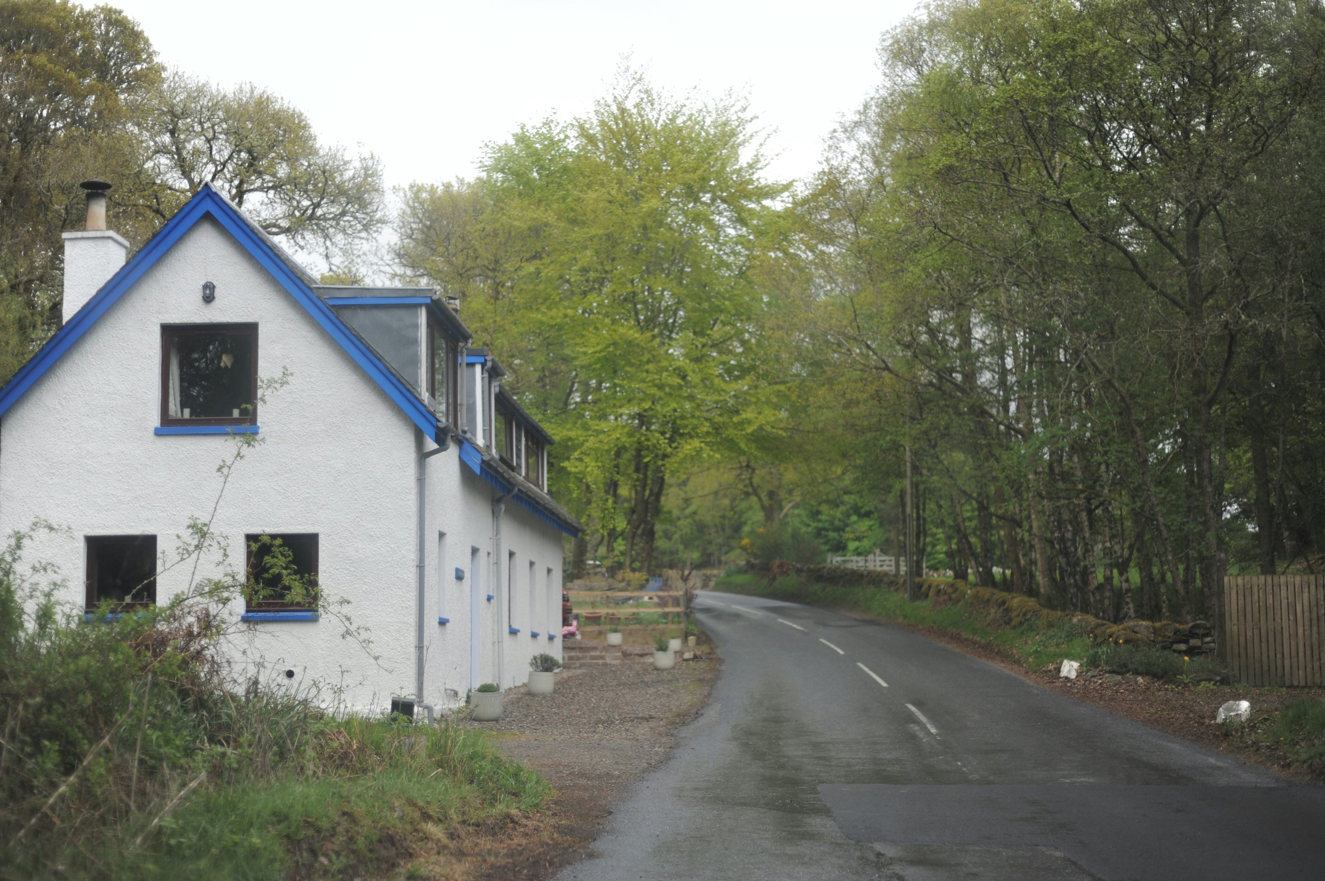 White Cottage by the Winding Vein