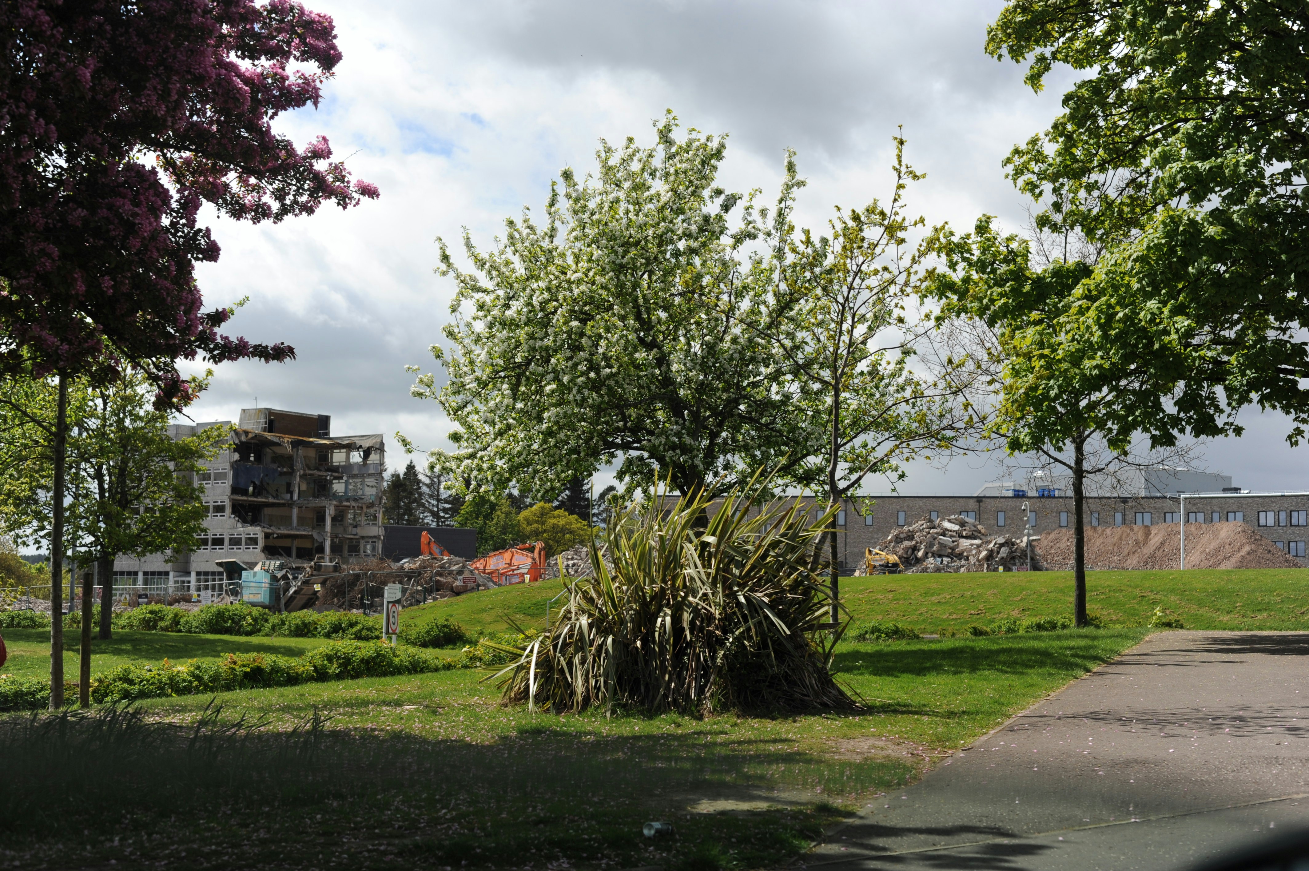 Urban Park with Central Foliage and Building Debris