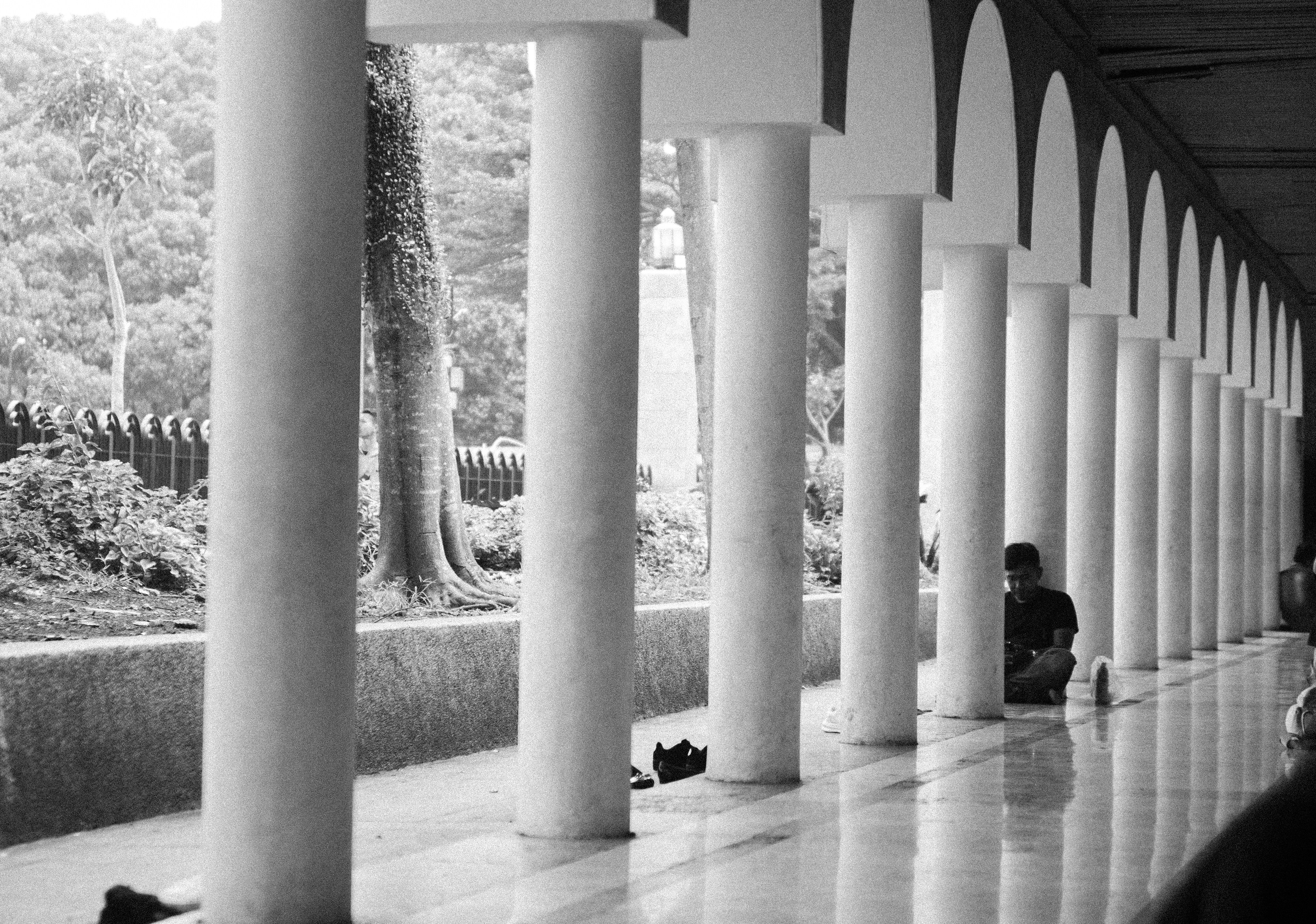Columns of Quiet Momentum down a Shaded Corridor