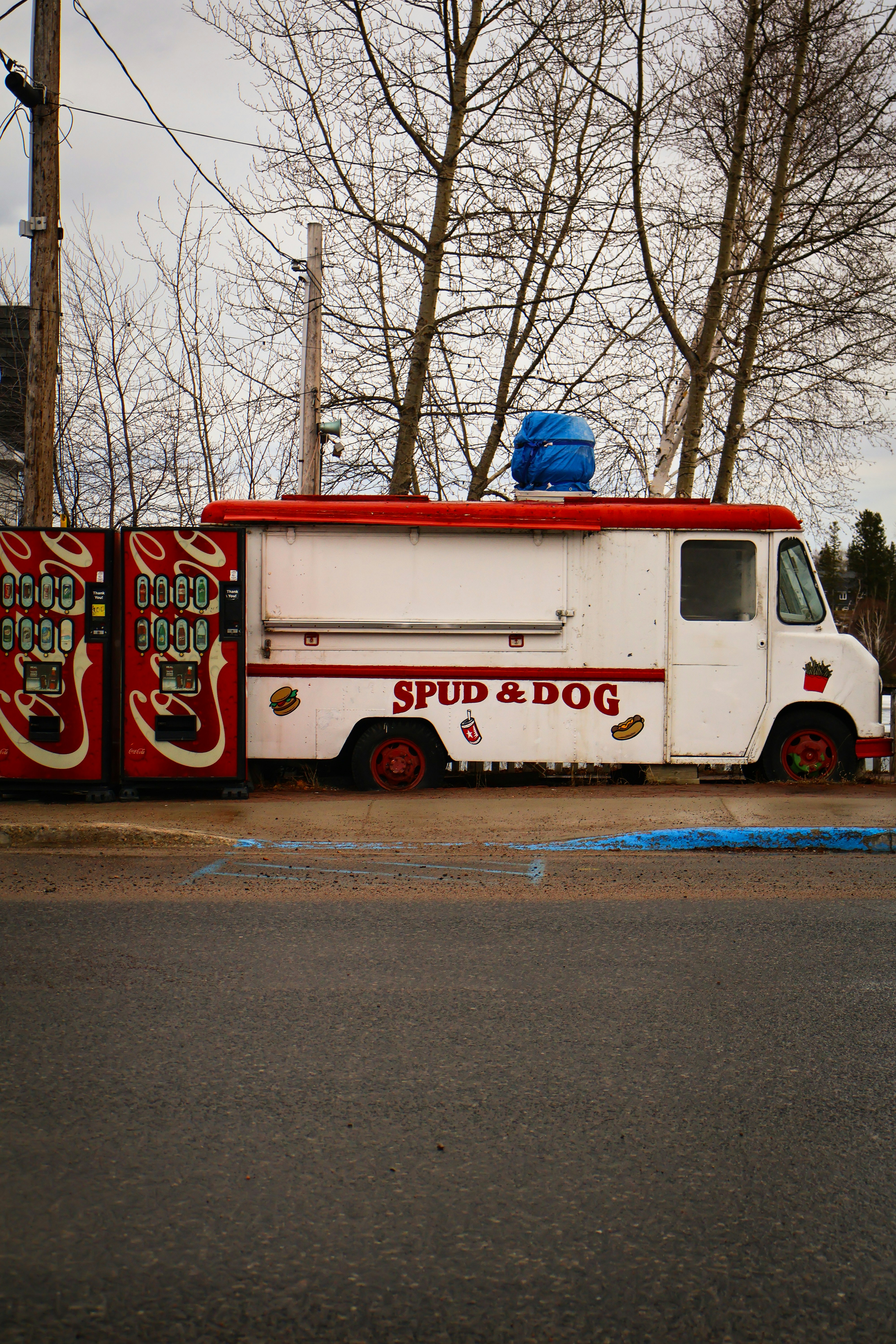 Spud & Dog on Wheels: A Quiet Lunch Break by the Roadside