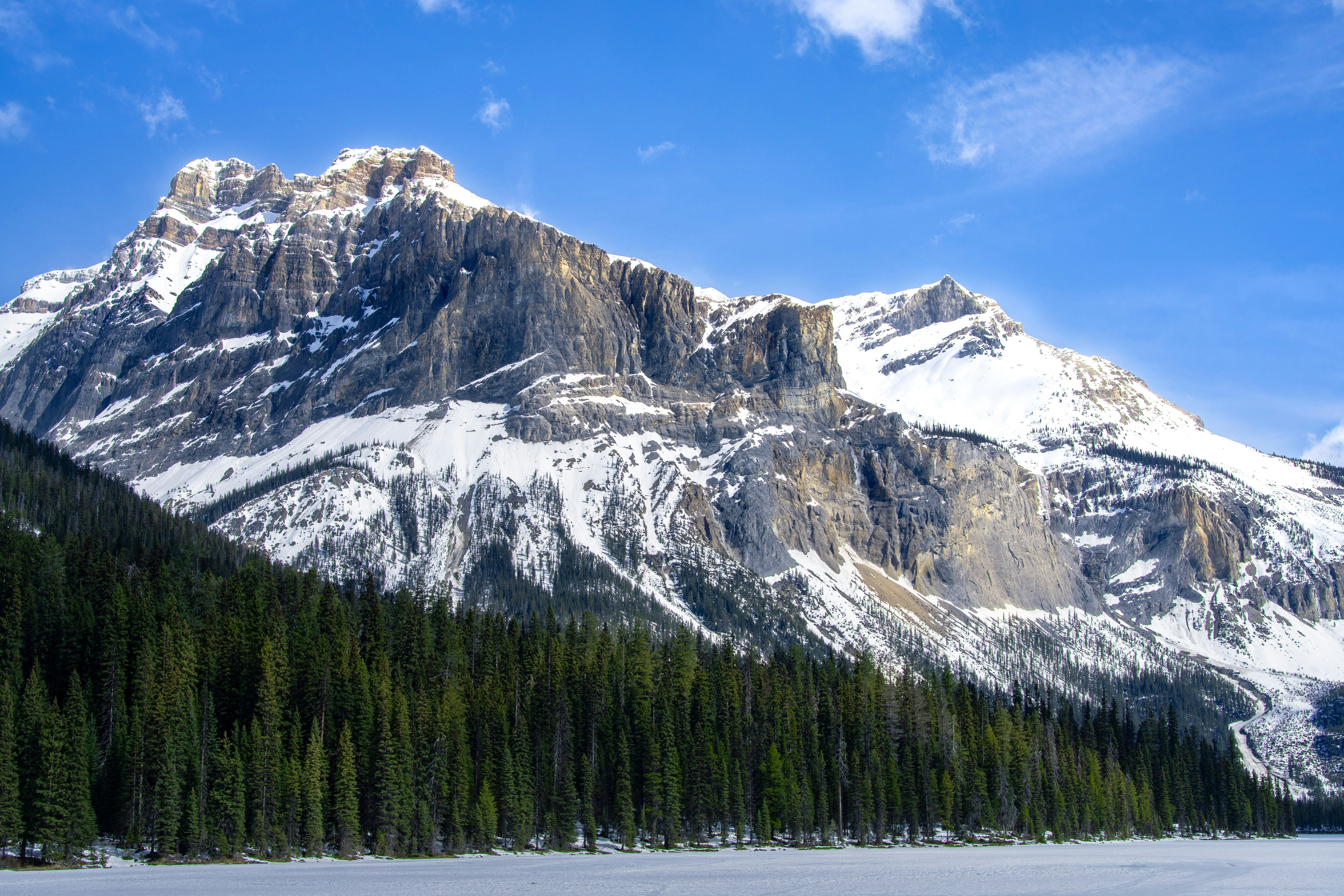 Snow-kissed Peaks Over a Dense Pine Foreedge