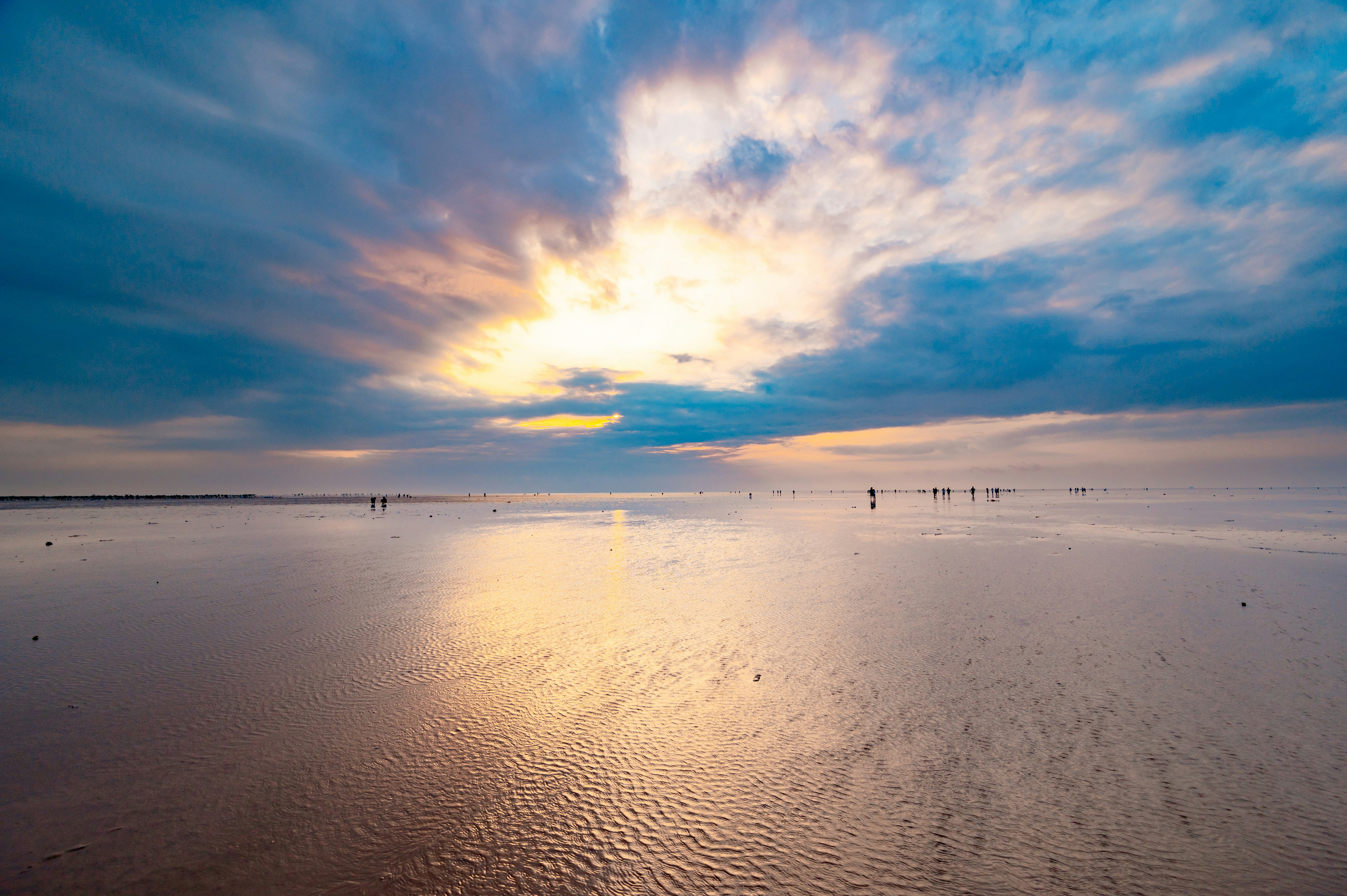 Sunlit Tidal Plain: Quiet Horizon Under Expansive Sky