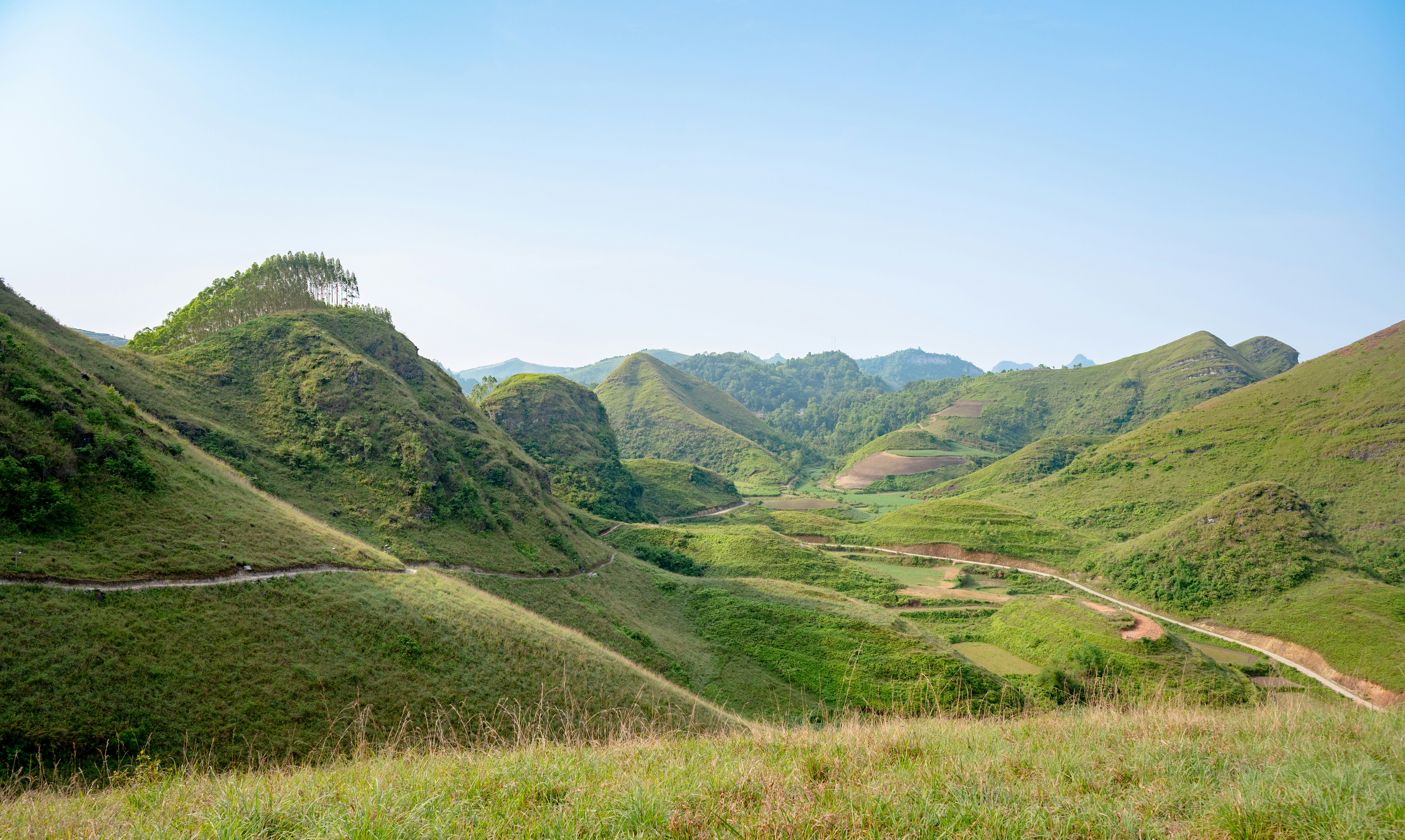 Valley Road Winding Through Green Hills