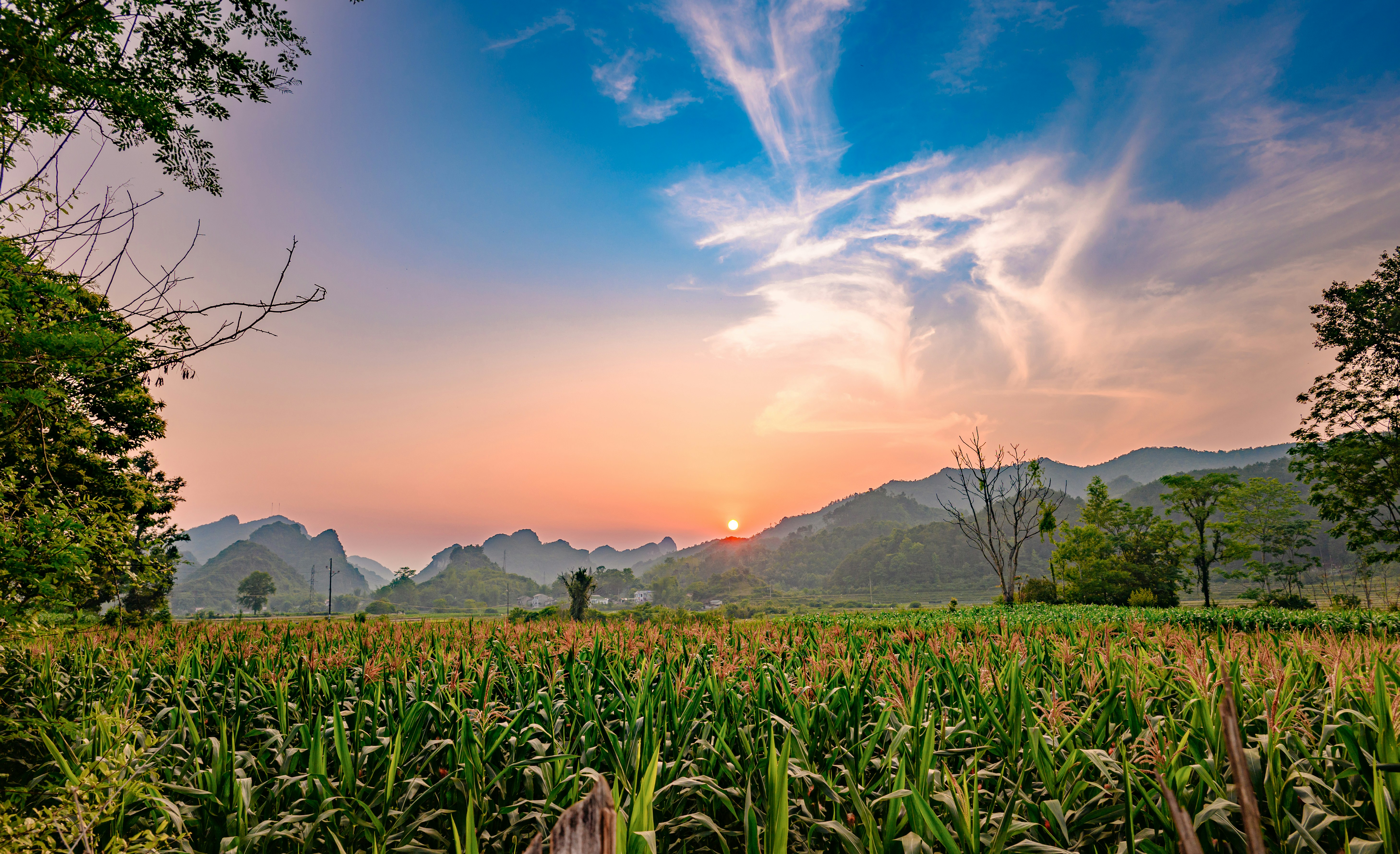 Sunrise Over a Verdant Field Beneath Rolling Peaks