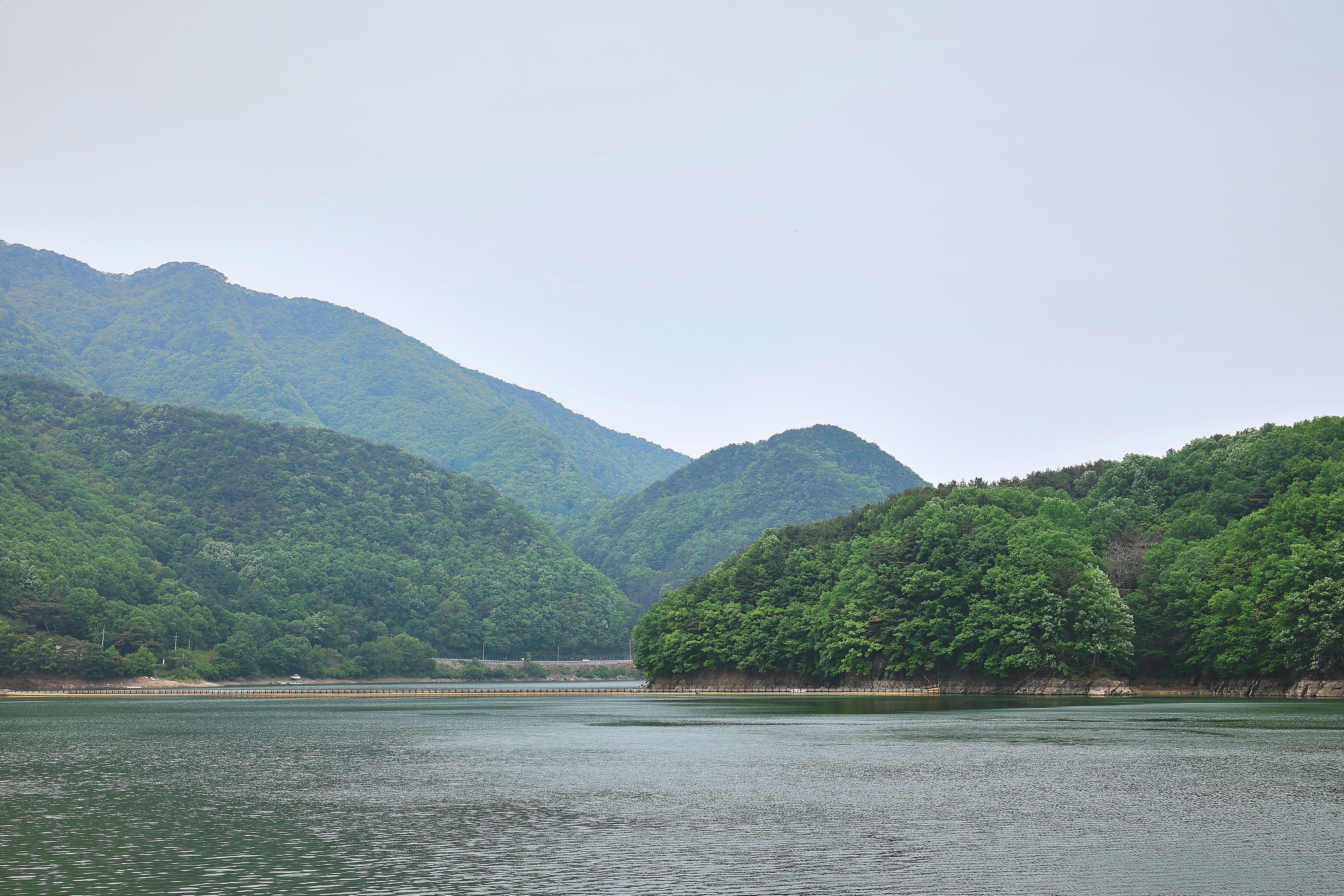 Green Valley Reservoir: A Quiet Confluence at Dusk